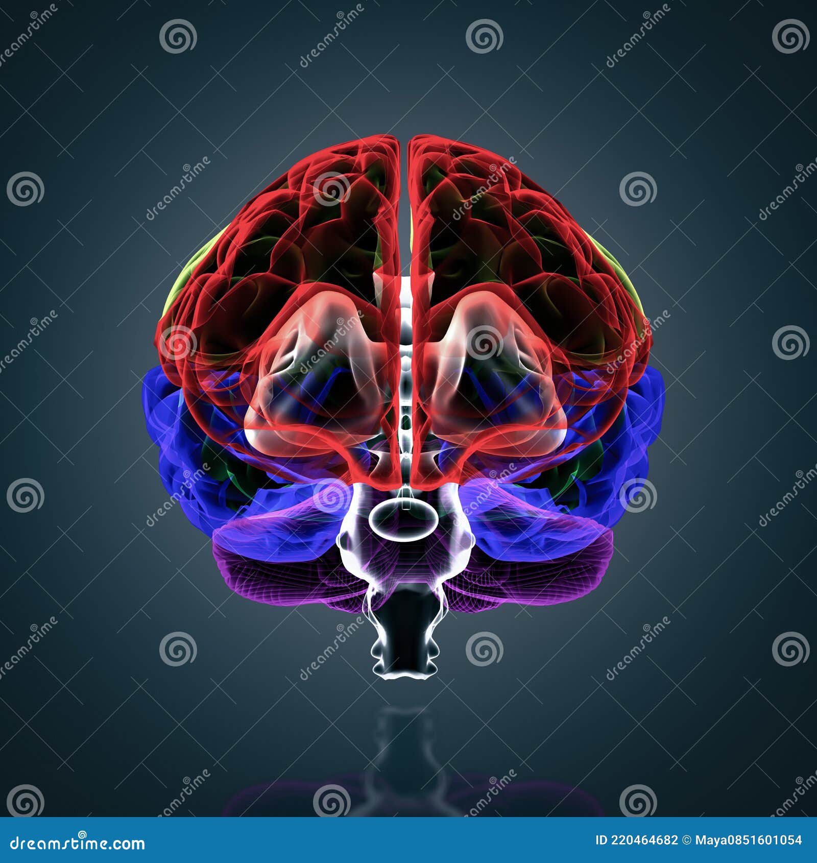 3D Rendering Illustration of Brain Stock Illustration - Illustration of ...