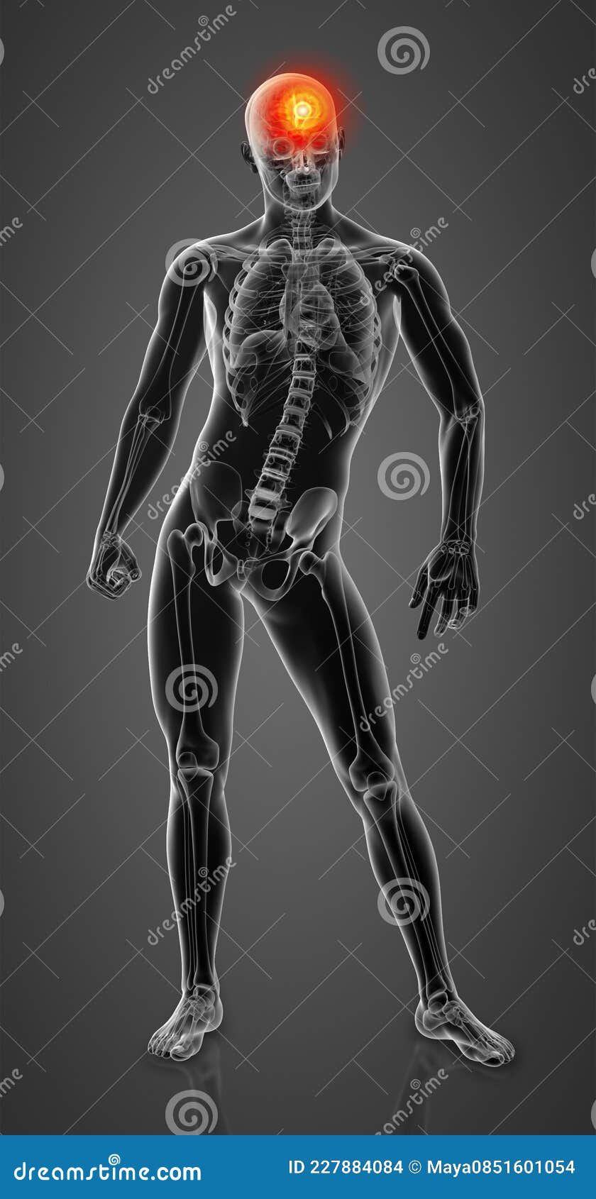 3D Rendering Illustration of Brain Stock Illustration - Illustration of ...