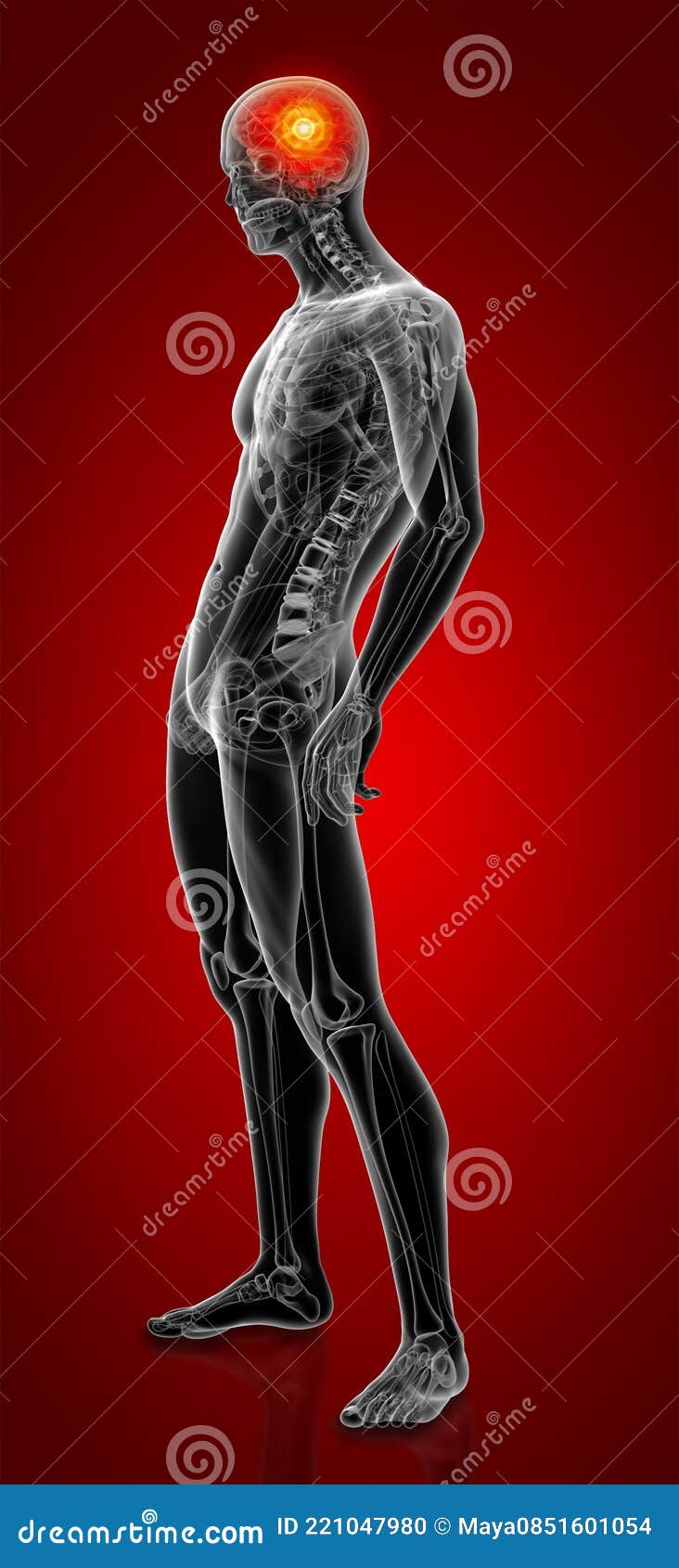 3D Rendering Illustration of Brain Stock Illustration - Illustration of ...