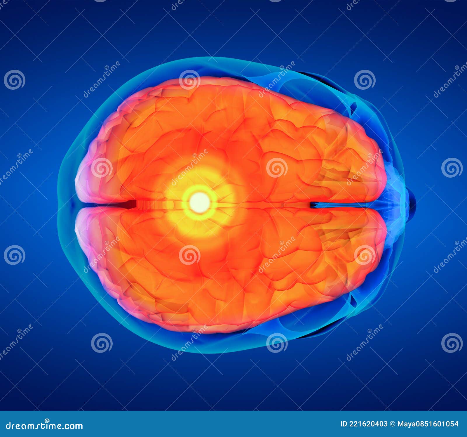 3D Rendering Illustration of Brain Stock Illustration - Illustration of ...