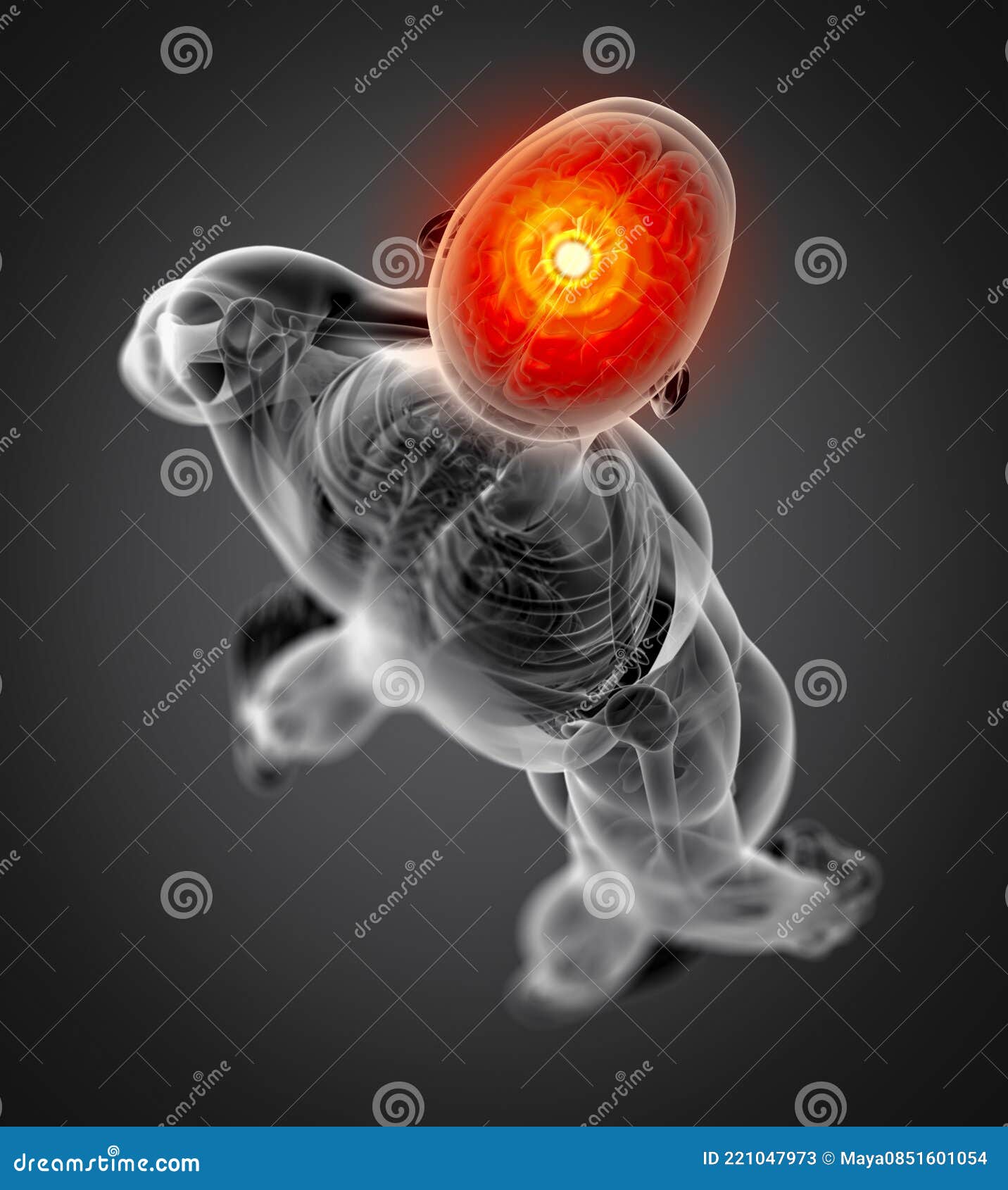 3D Rendering Human Brain X Ray Stock Illustration - Illustration of ...