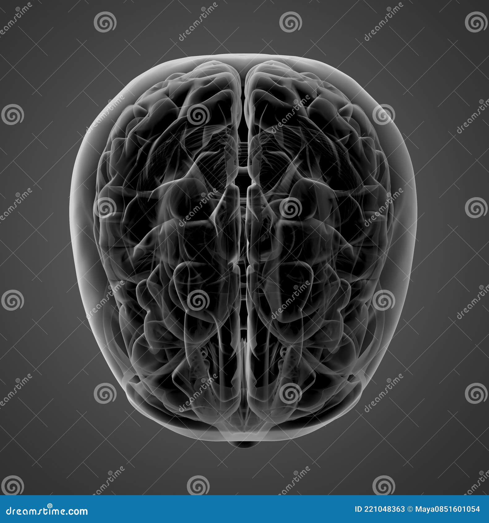 3D Rendering Illustration of Brain Stock Illustration - Illustration of ...