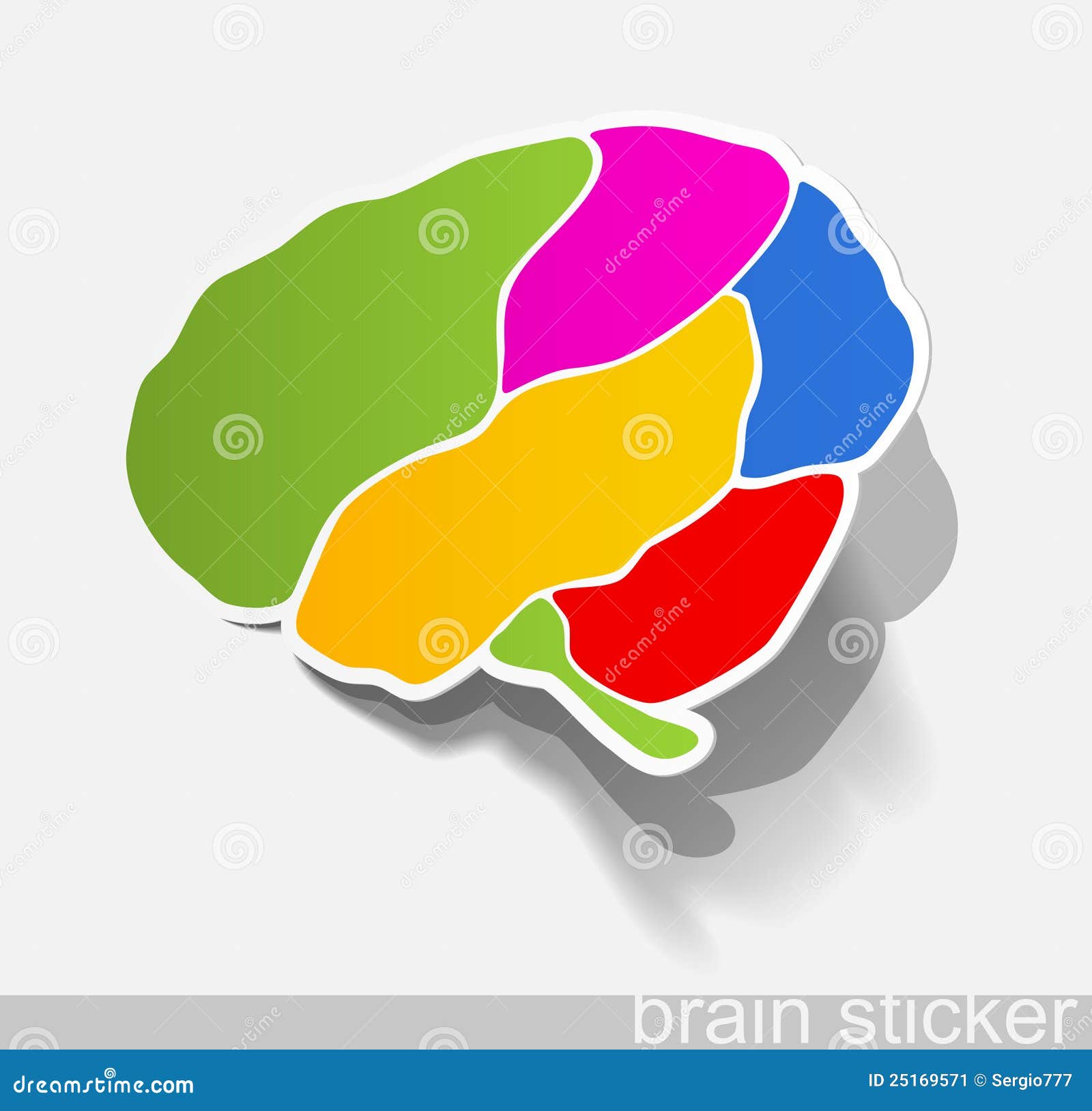 Brain. Realistic Brain Isolated On White Background. Vector, Cartoon ...