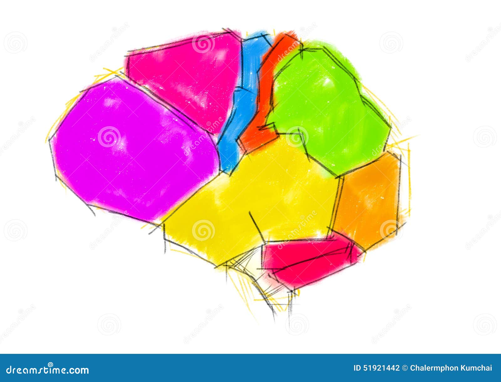 Brain. Realistic Brain Isolated On White Background. Vector, Cartoon ...