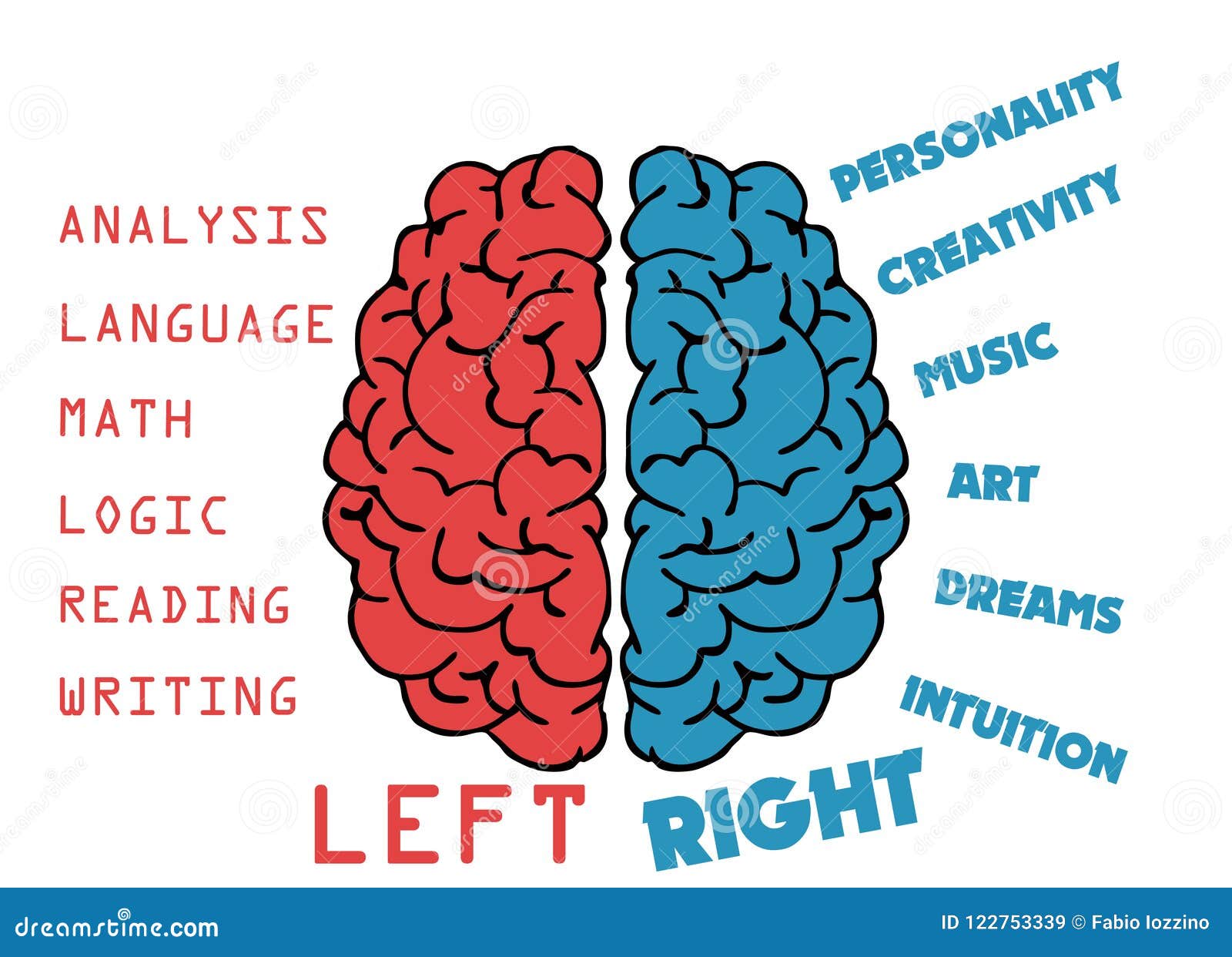 Brain Function Left And Right Brain Function Left And Right