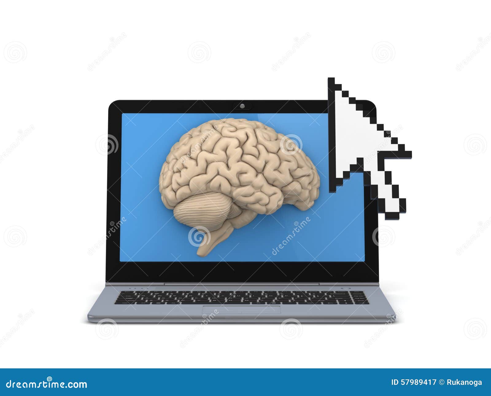 Human Brain on a Screen of Laptop Stock Illustration - Illustration of ...