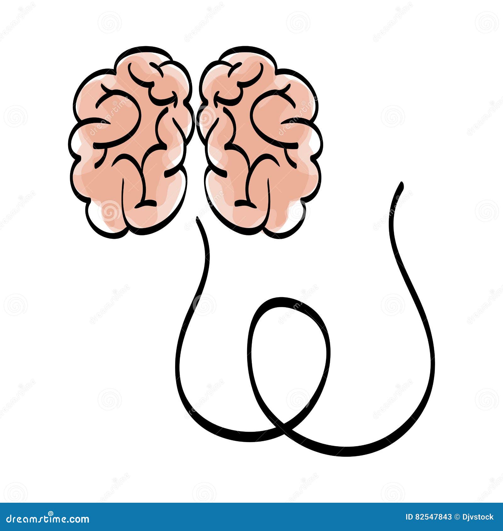 Human brain scribble stock image. Image of senses, abstract - 82547843