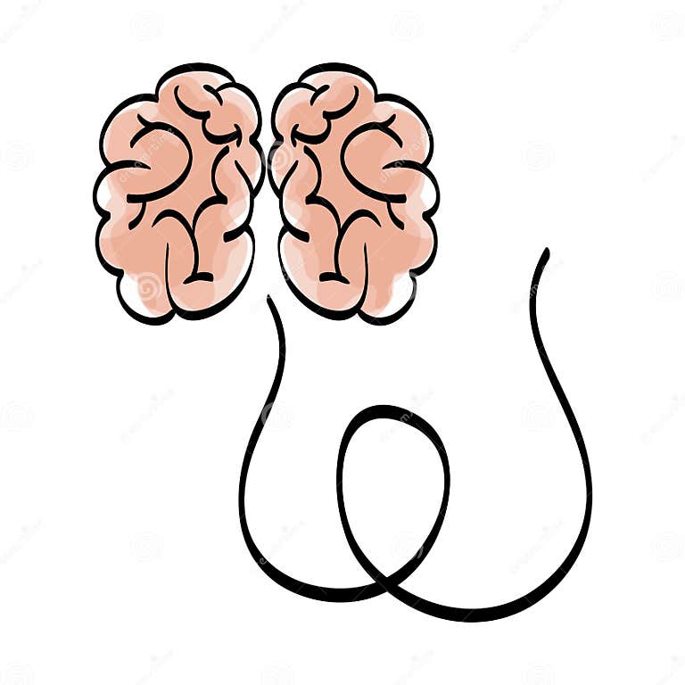 Human brain scribble stock image. Image of senses, abstract - 82547843