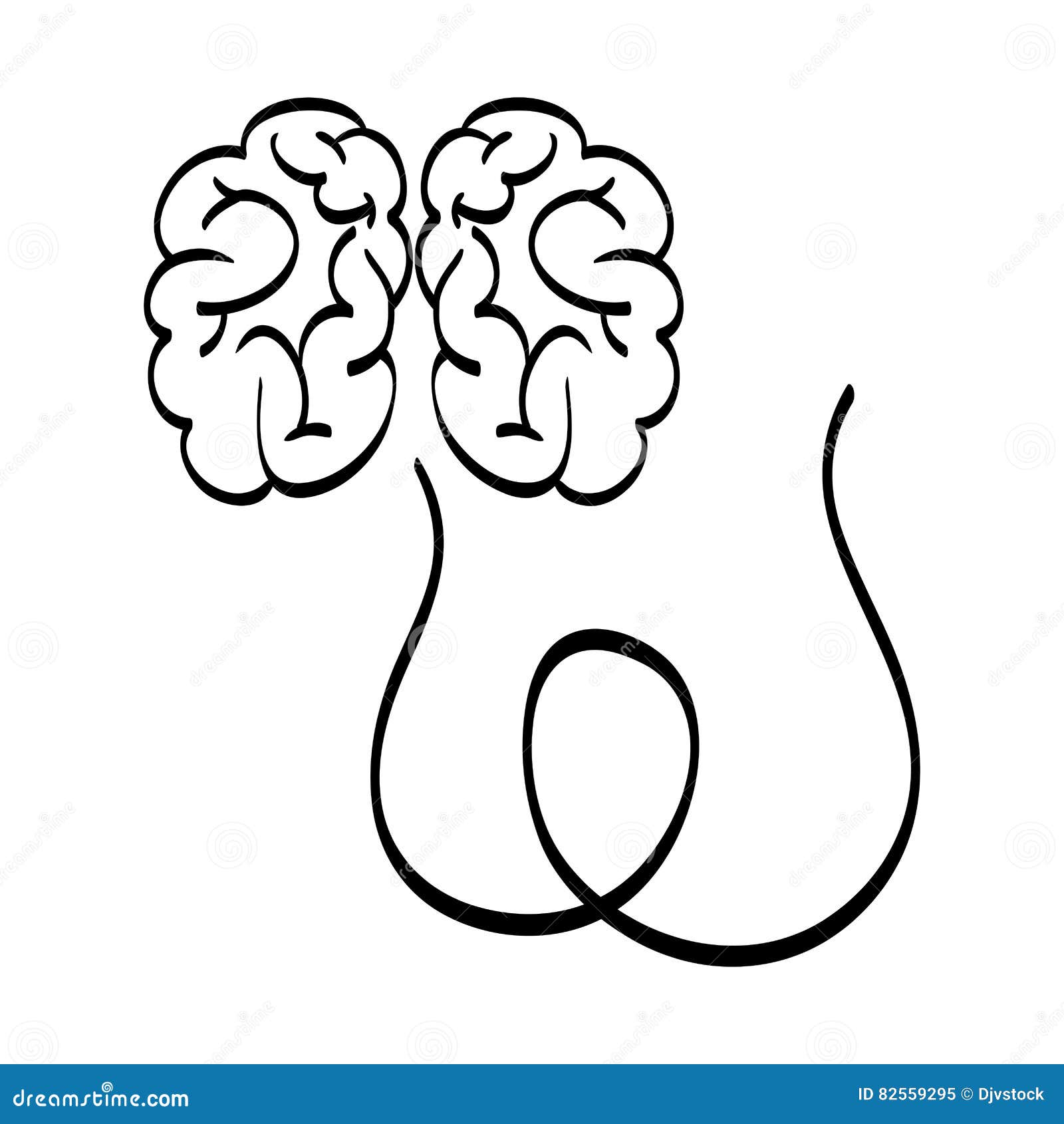 Human brain scribble stock image. Image of human, memory - 82559295