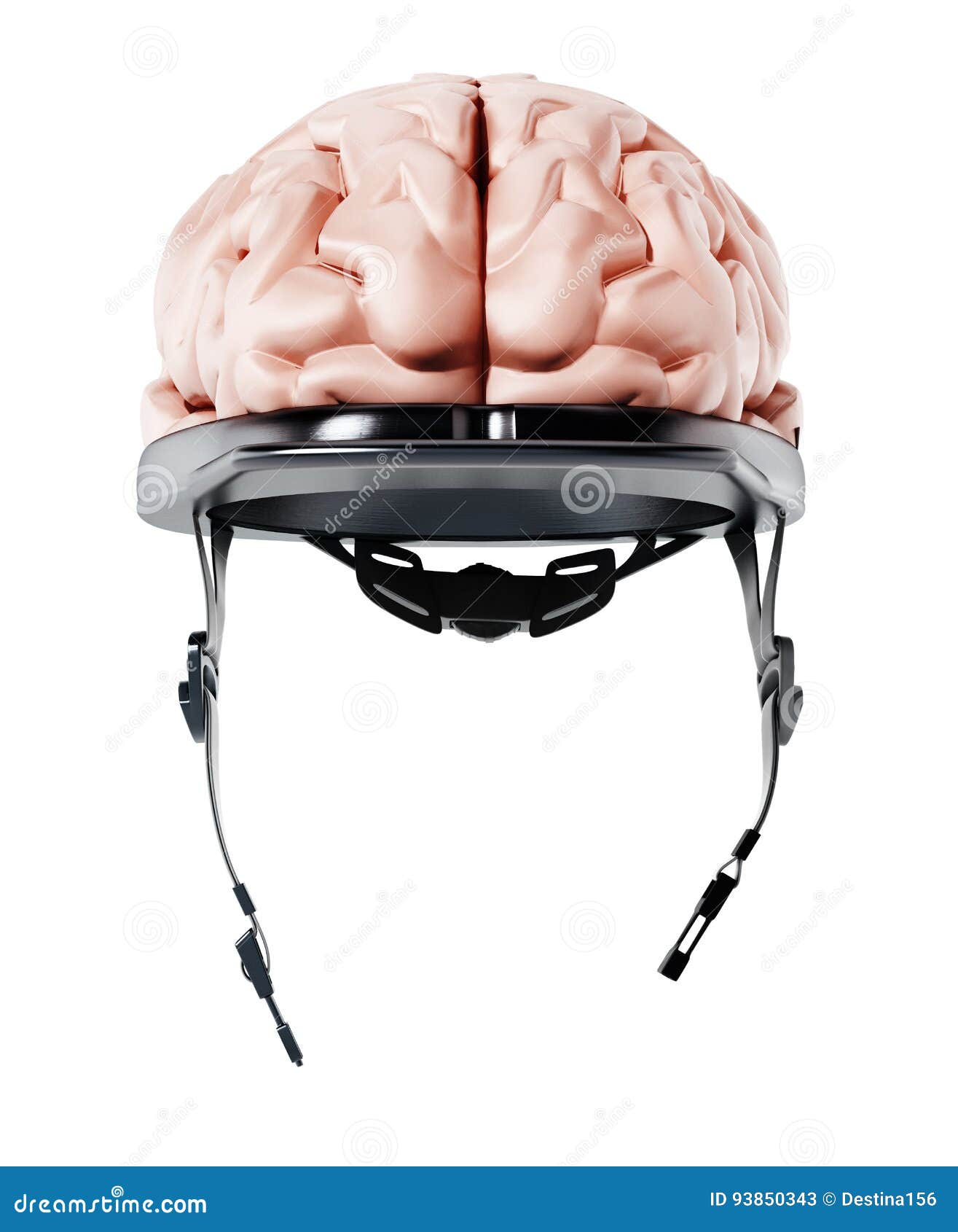 Human Brain on Security Cap. 3D Illustration Stock Illustration ...