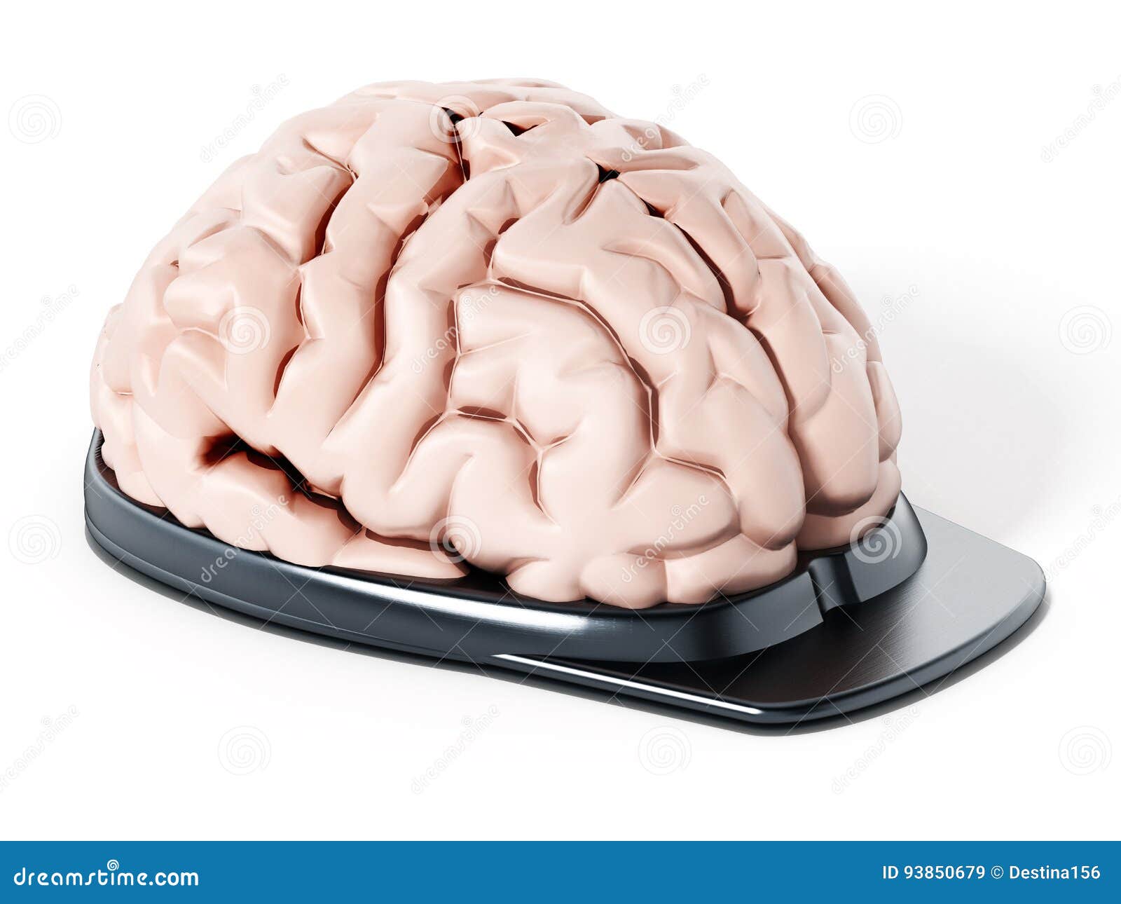 Human Brain on Security Cap. 3D Illustration Stock Illustration ...