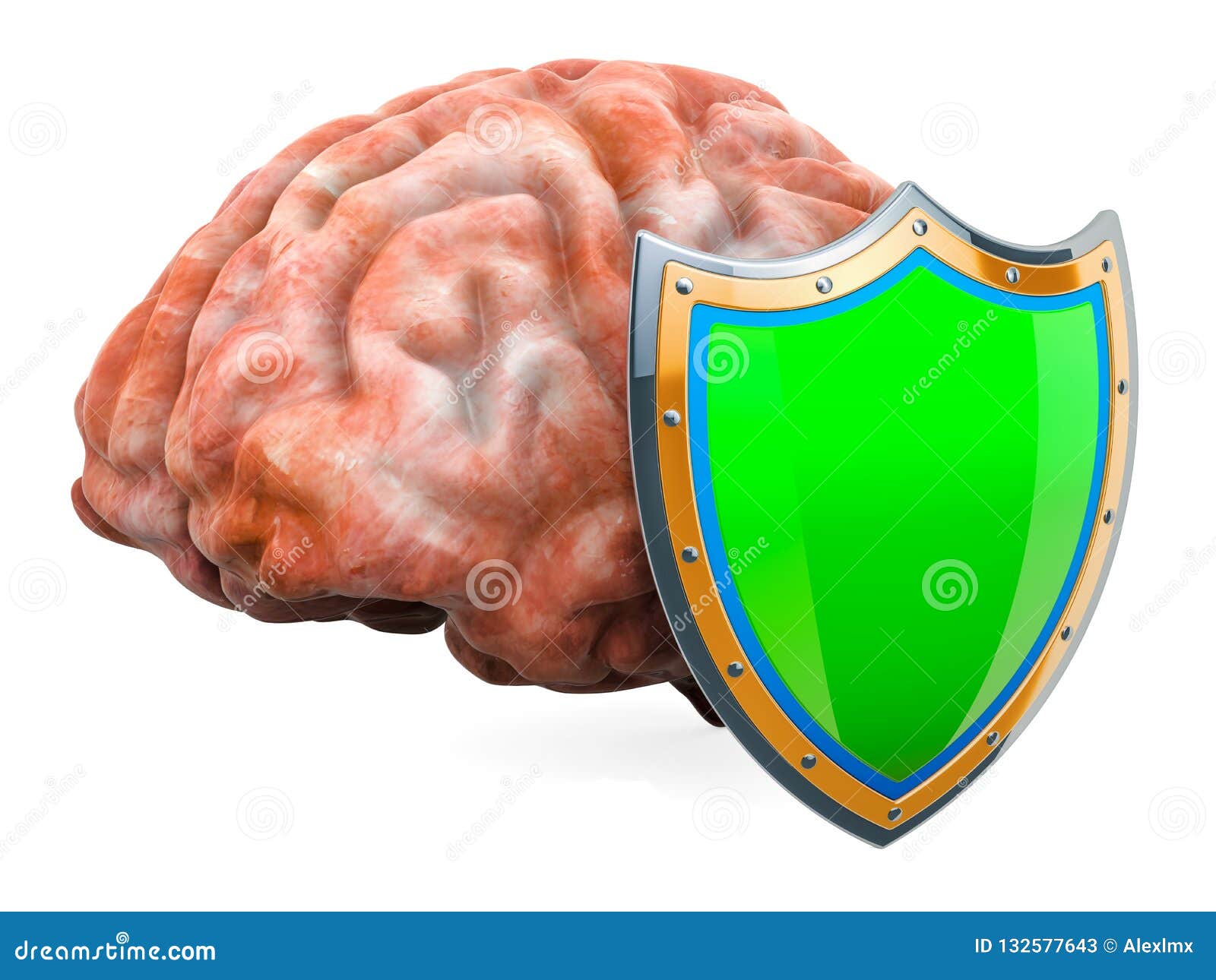 Shield Protect World Global Network On Binary Code White Background ...