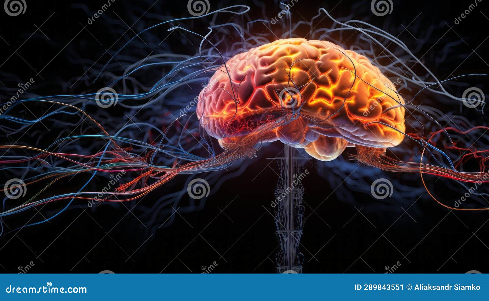A Human Brain, Showcasing Its Complex Neural Pathways and Structures ...