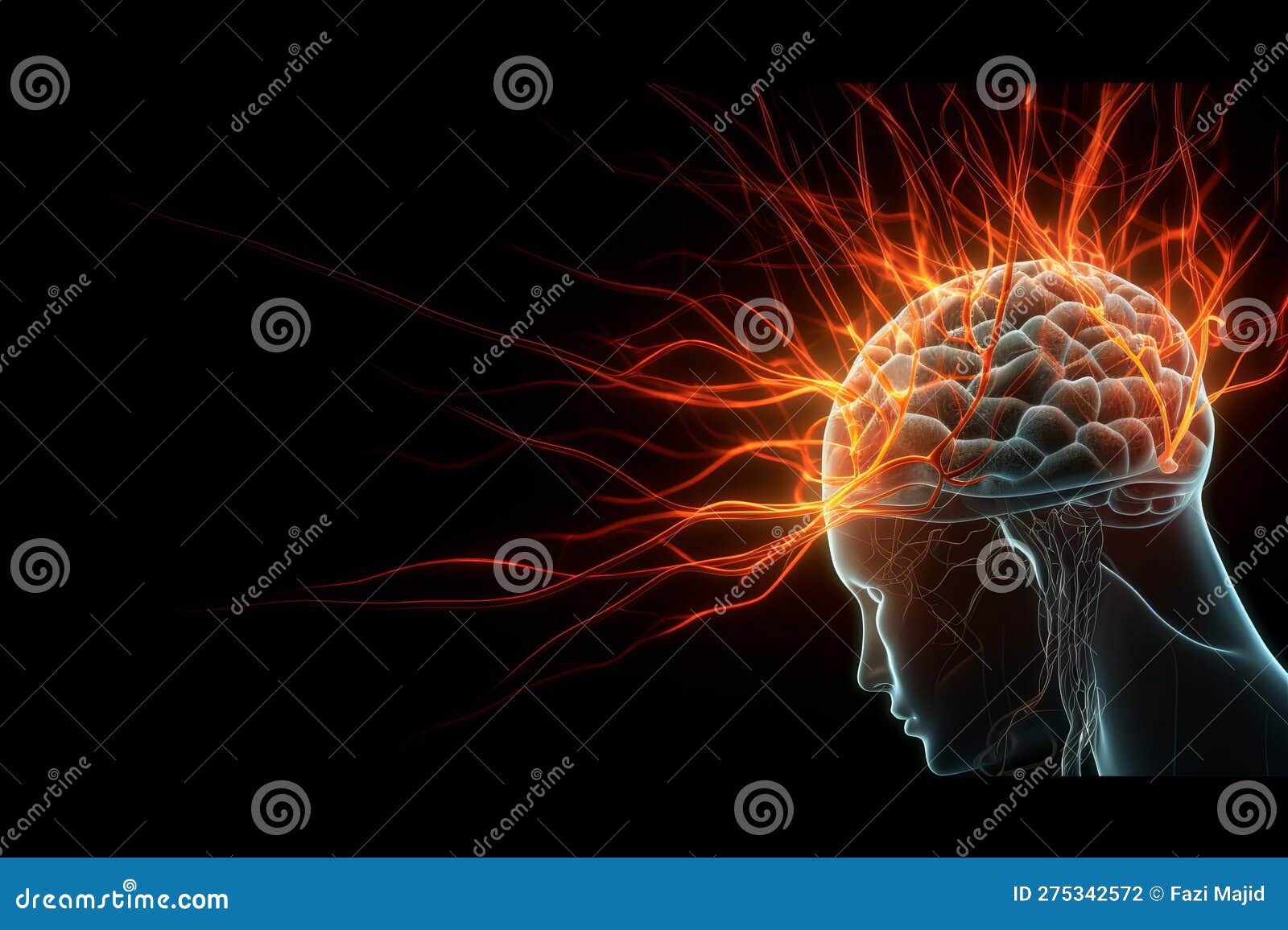 Human Brain Showing Neural Pathways and Neurons Firing Concept ... Human Brain Showing Neural Pathways and Neurons Firing Concept ...