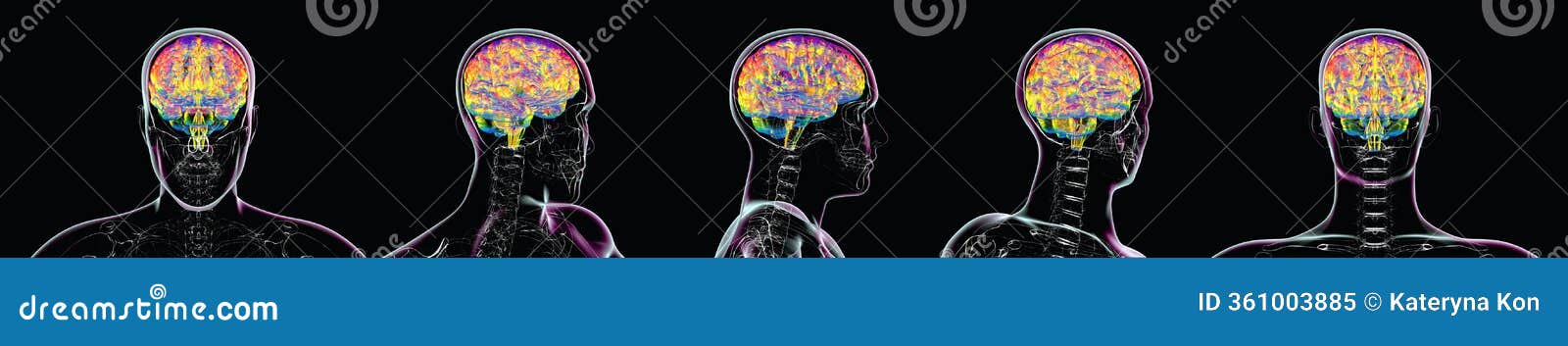 Human Brain Shown from Multiple Angles, 3D Illustration Stock ...