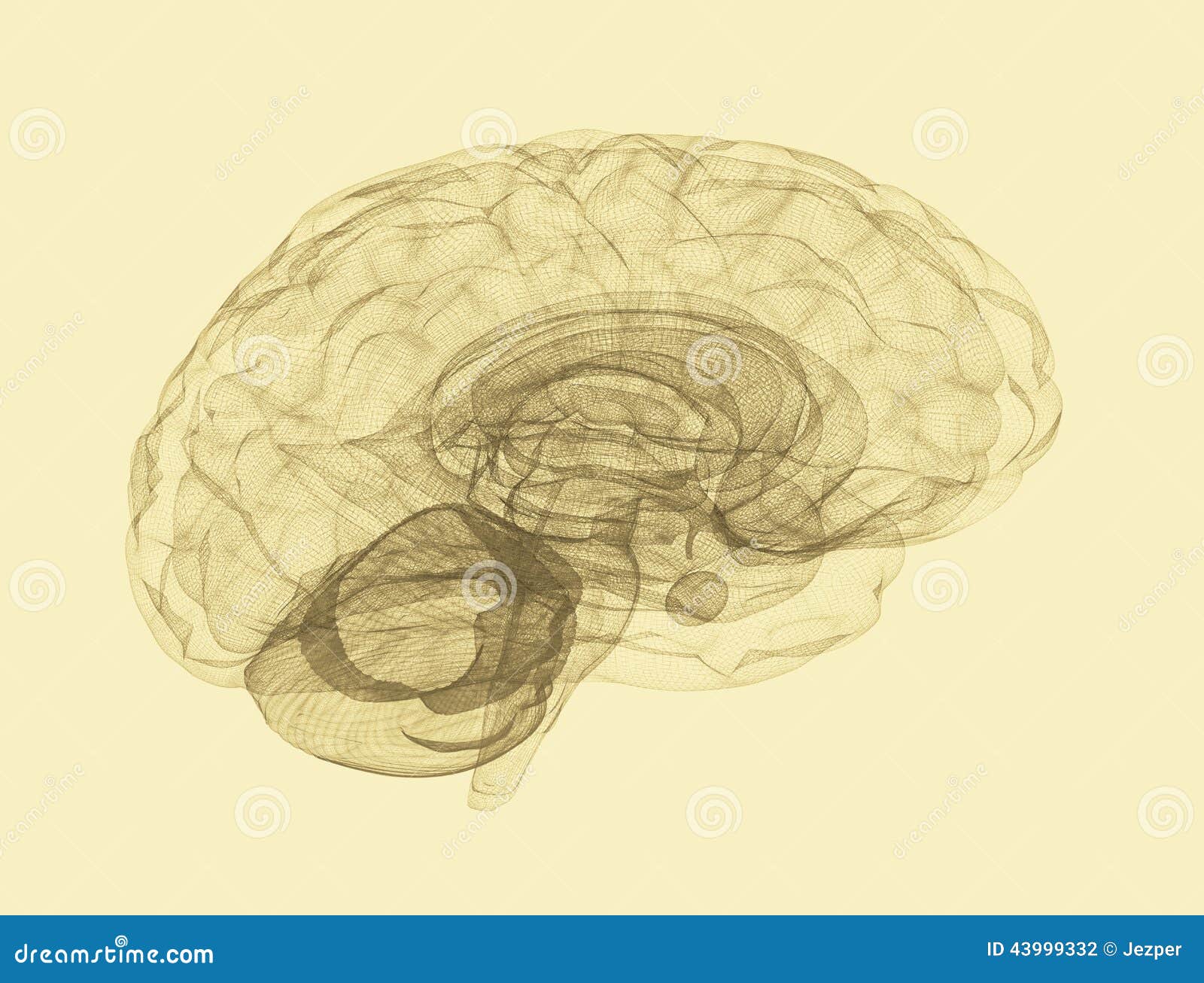 Human Brain stock illustration. Illustration of wireframe - 43999332