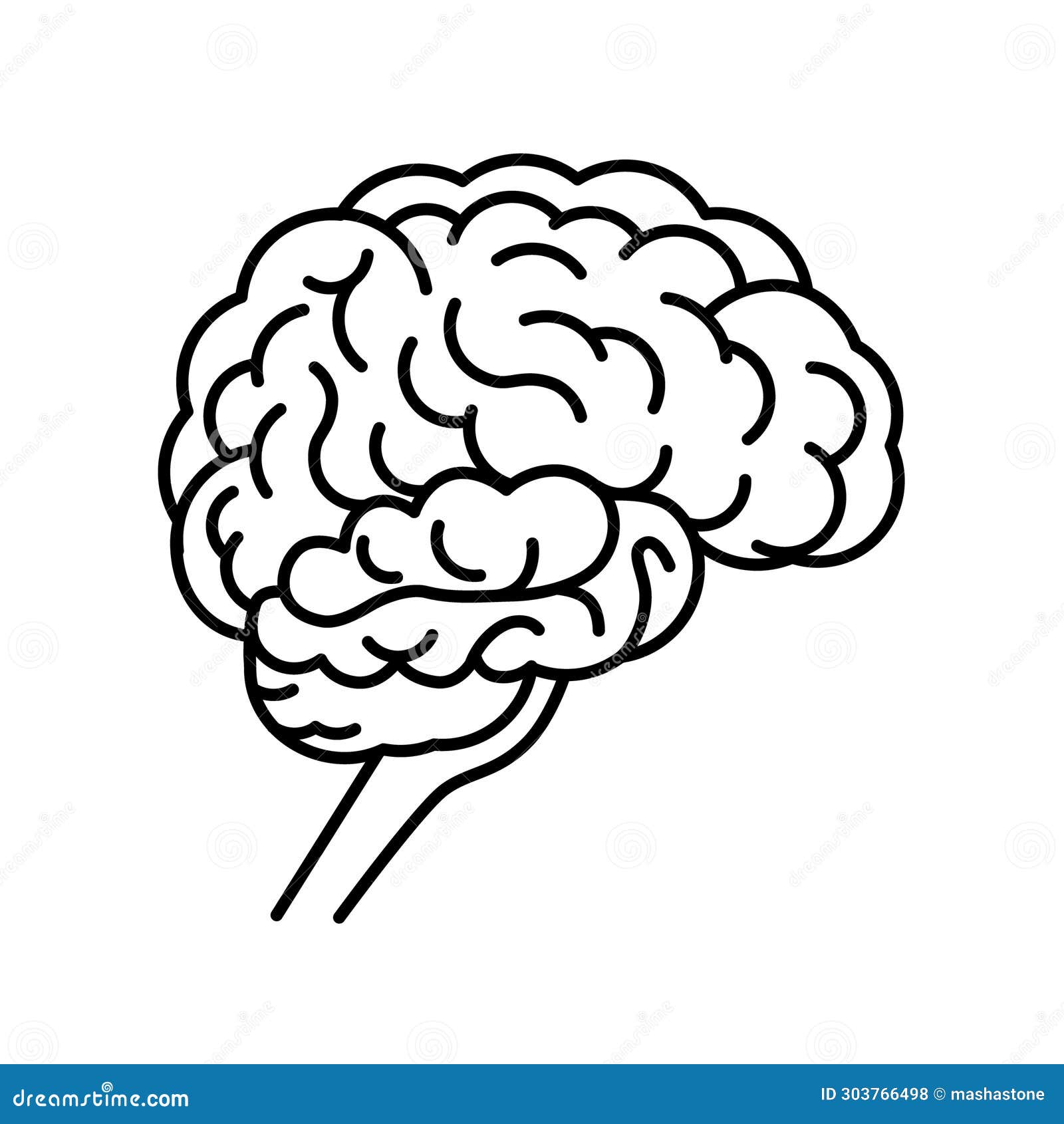 Human Brain Side View. Black Line Vector Illustration. Stock ...
