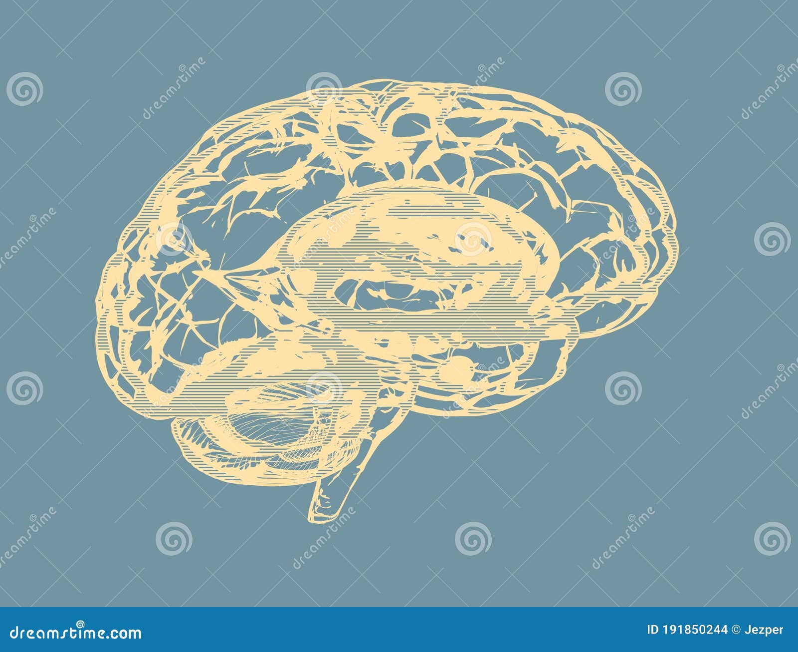 Human brain side view stock illustration. Illustration of blue - 191850244