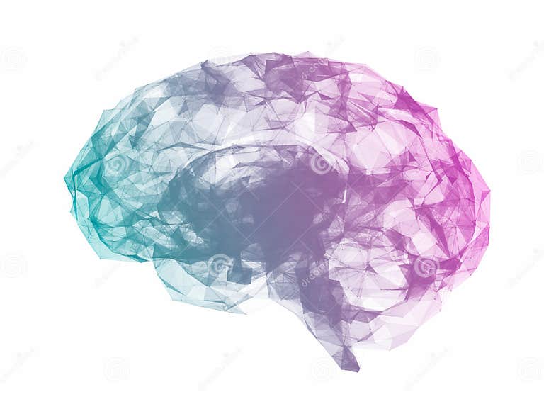Human Brain Abstract Polygon Geometry Stock Illustration - Illustration ...