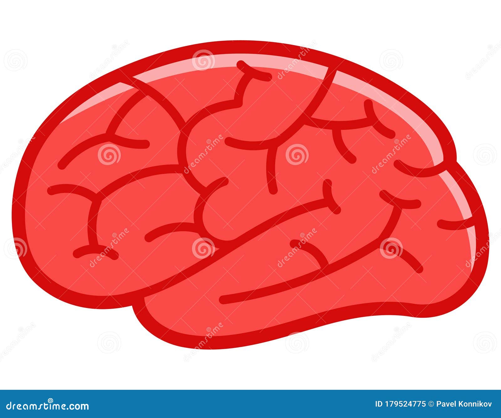 Brain Side View Diagram Of Human Nervous System Cartoon Vector ...