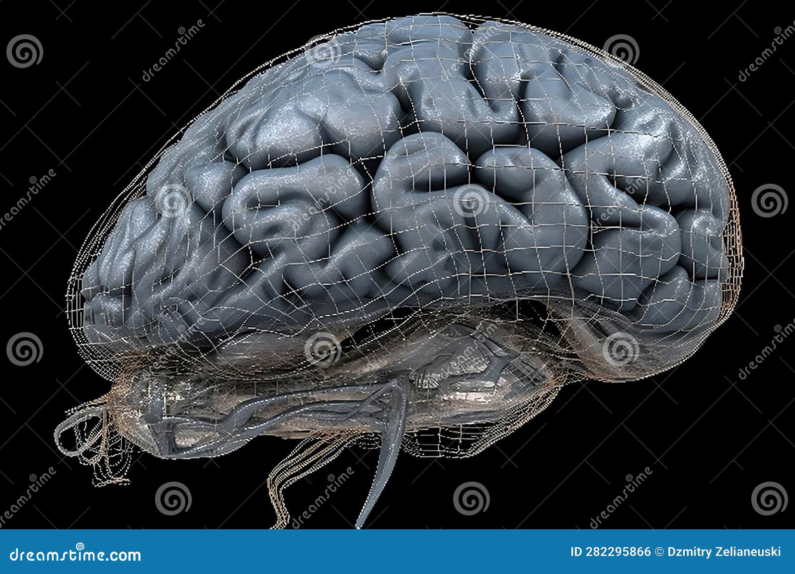 Human Brain with Skull. Generative AI. Stock Illustration ...