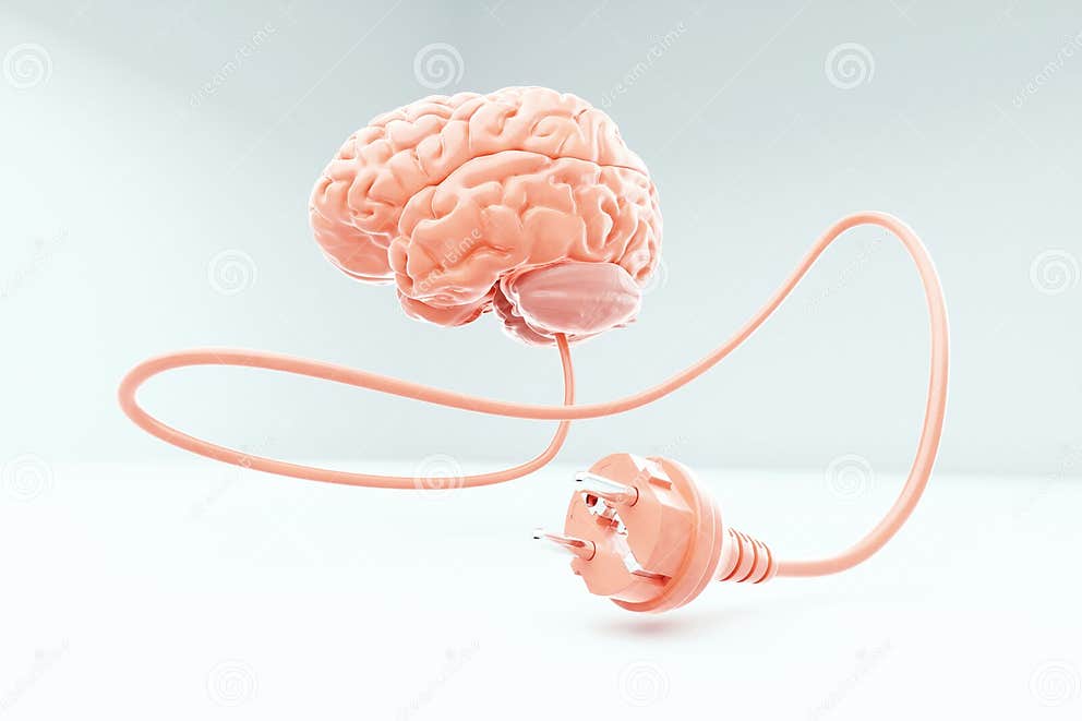 Human Brain with Socket Plug on a Light Background. the Concept is To ...