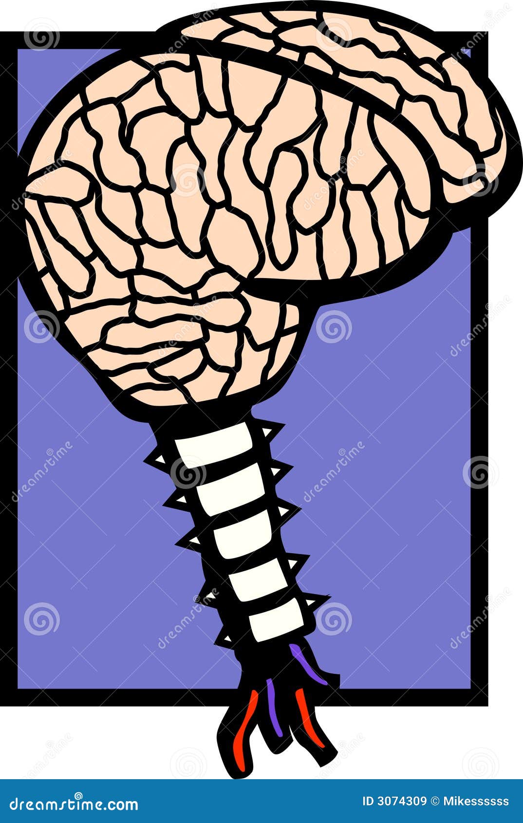 Human Brain with Spinal Column Vector Illustration Stock Vector ...