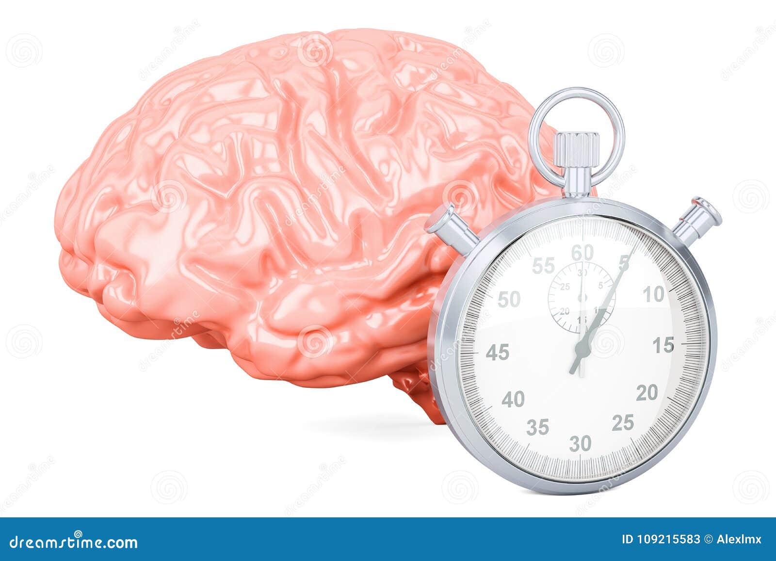 Human Brain with Stopwatch, 3D Rendering Stock Illustration ...