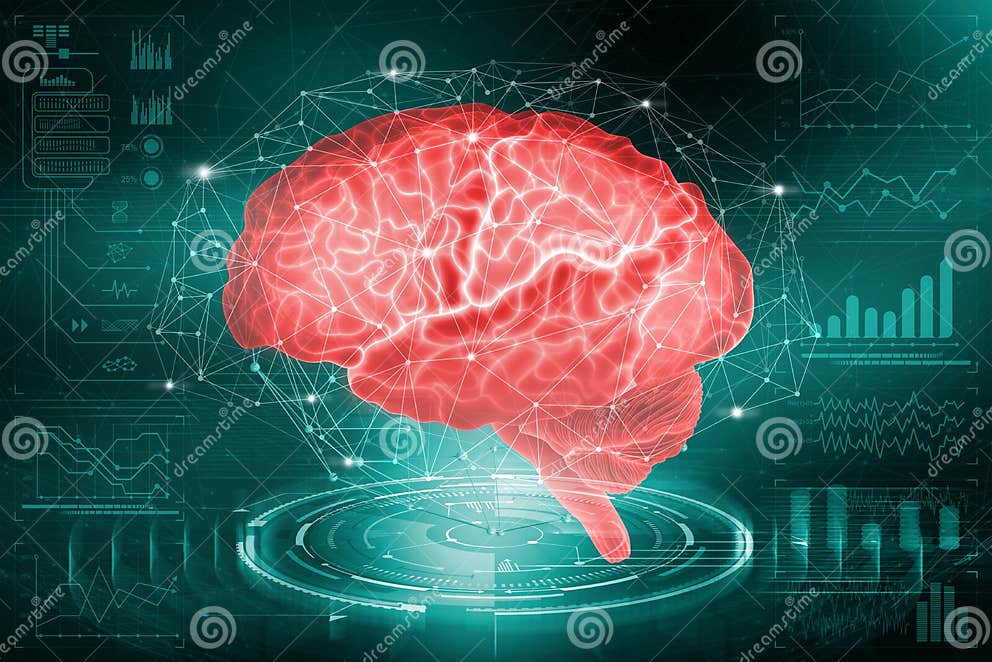 The Human Brain. the Study of the Possibilities of the Brain in the ...