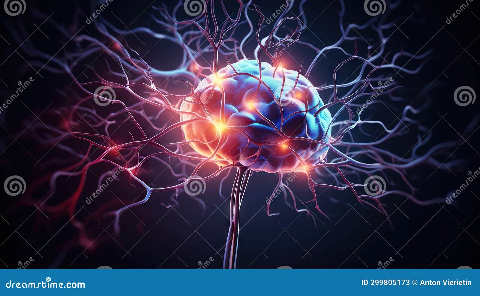 Human Brain, Such As Its Complex Structure and Its Many Connections, a ...