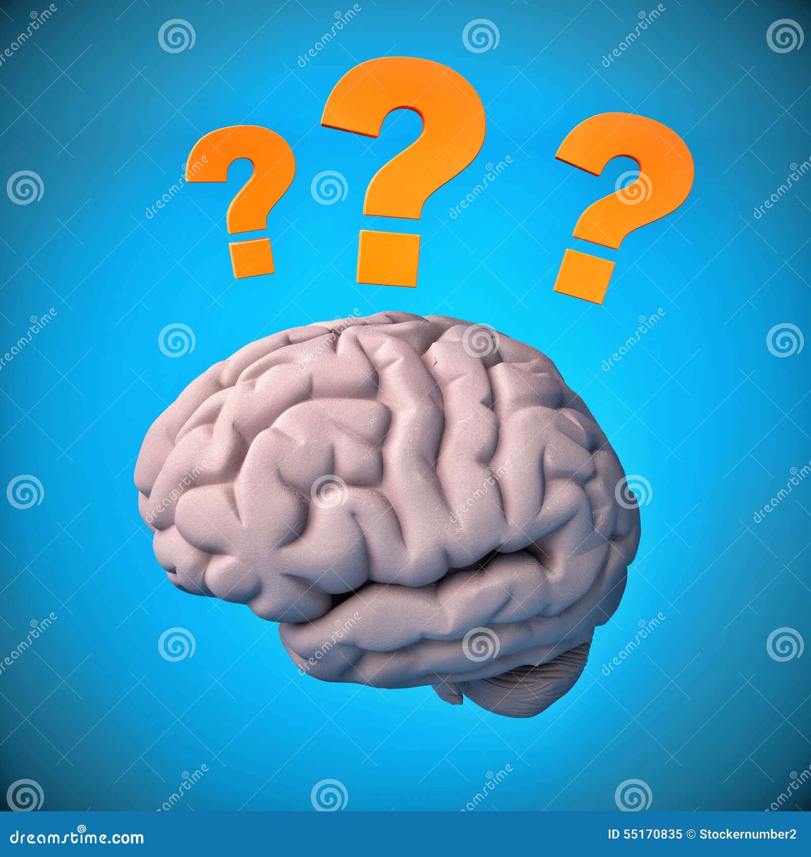 Human Brain Surrounded with Question Marks Stock Illustration ...