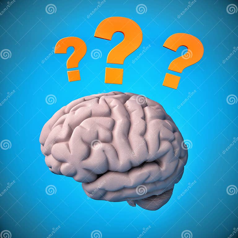 Human Brain Surrounded with Question Marks Stock Illustration ...