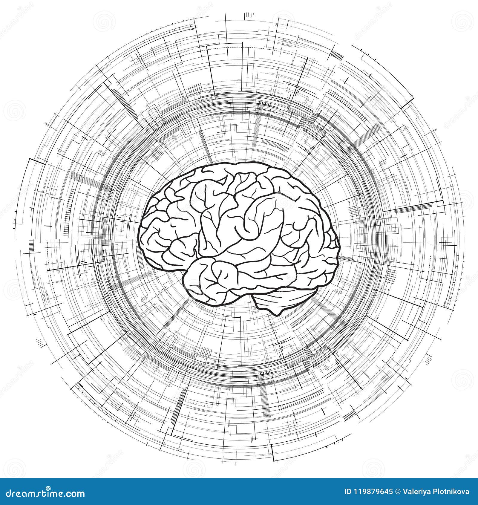 Human Brain On Technical Circular Background. Microchips. Blueprint ...