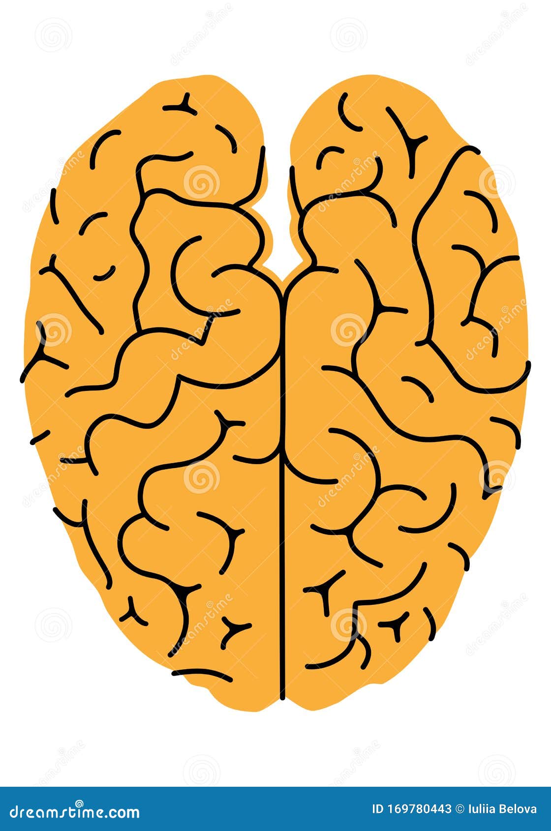 Human Brain Top View Illustration. Flat Design Stock Illustration ...