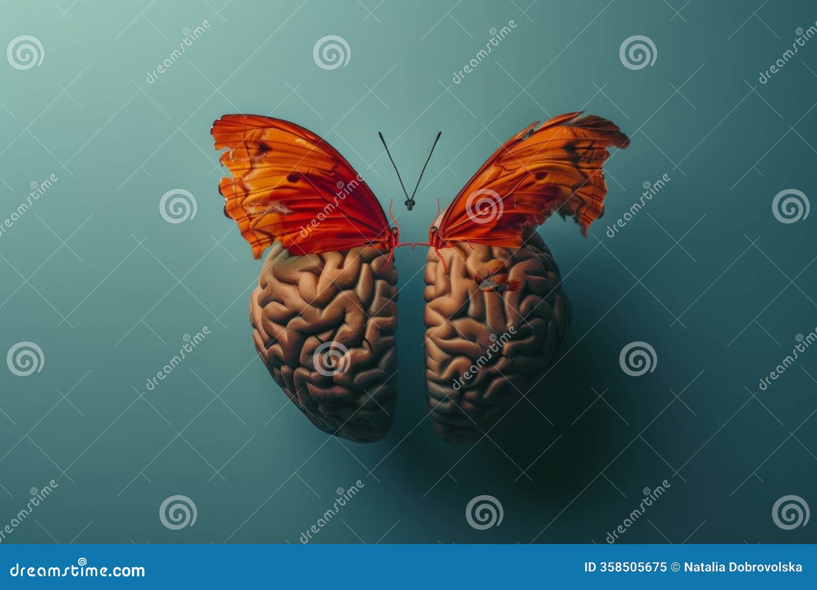 A Human Brain Transforming into a Butterfly, Symbolizing Personal ...