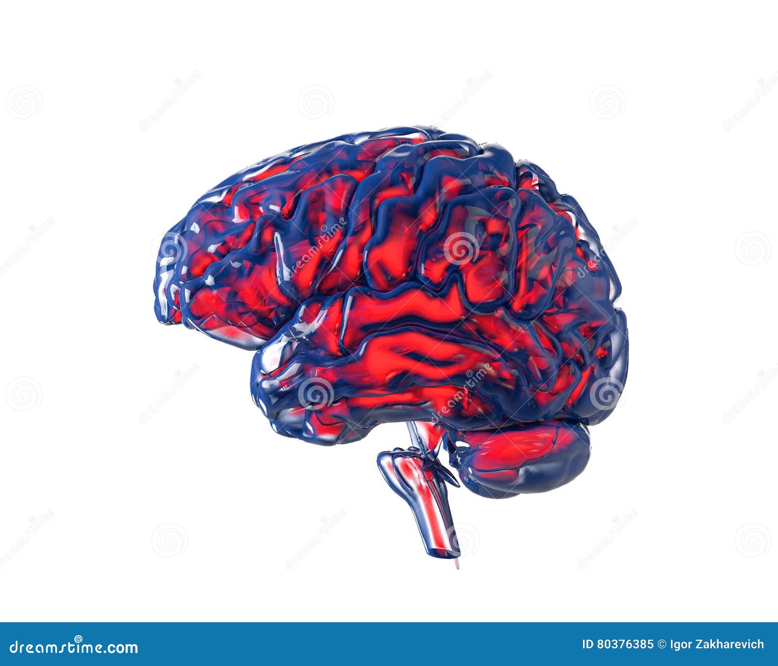 Human Brain with Transparency Chanel, Stock Illustration - Illustration ...
