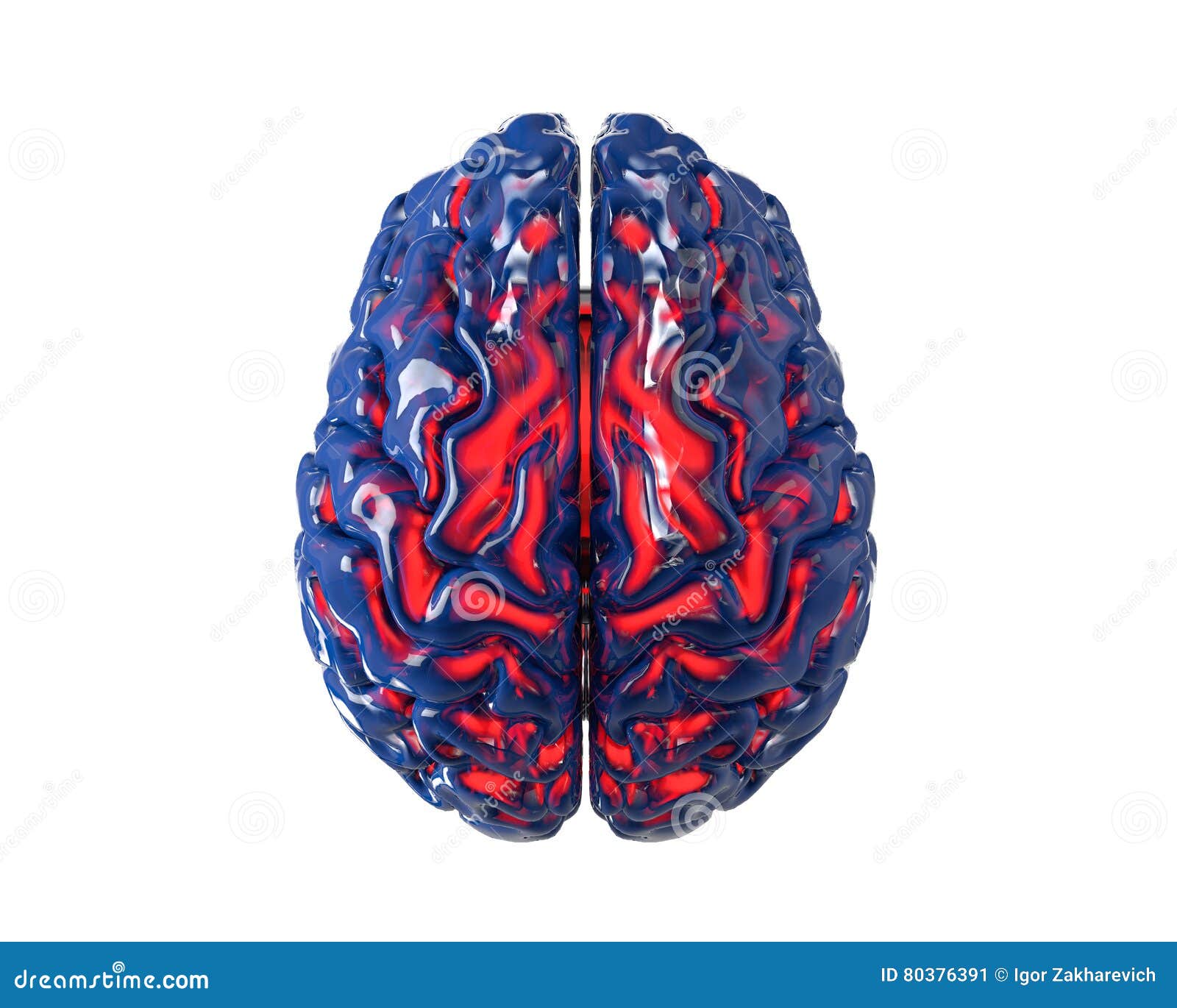 Human Brain with Transparency Chanel, Stock Illustration - Illustration ...