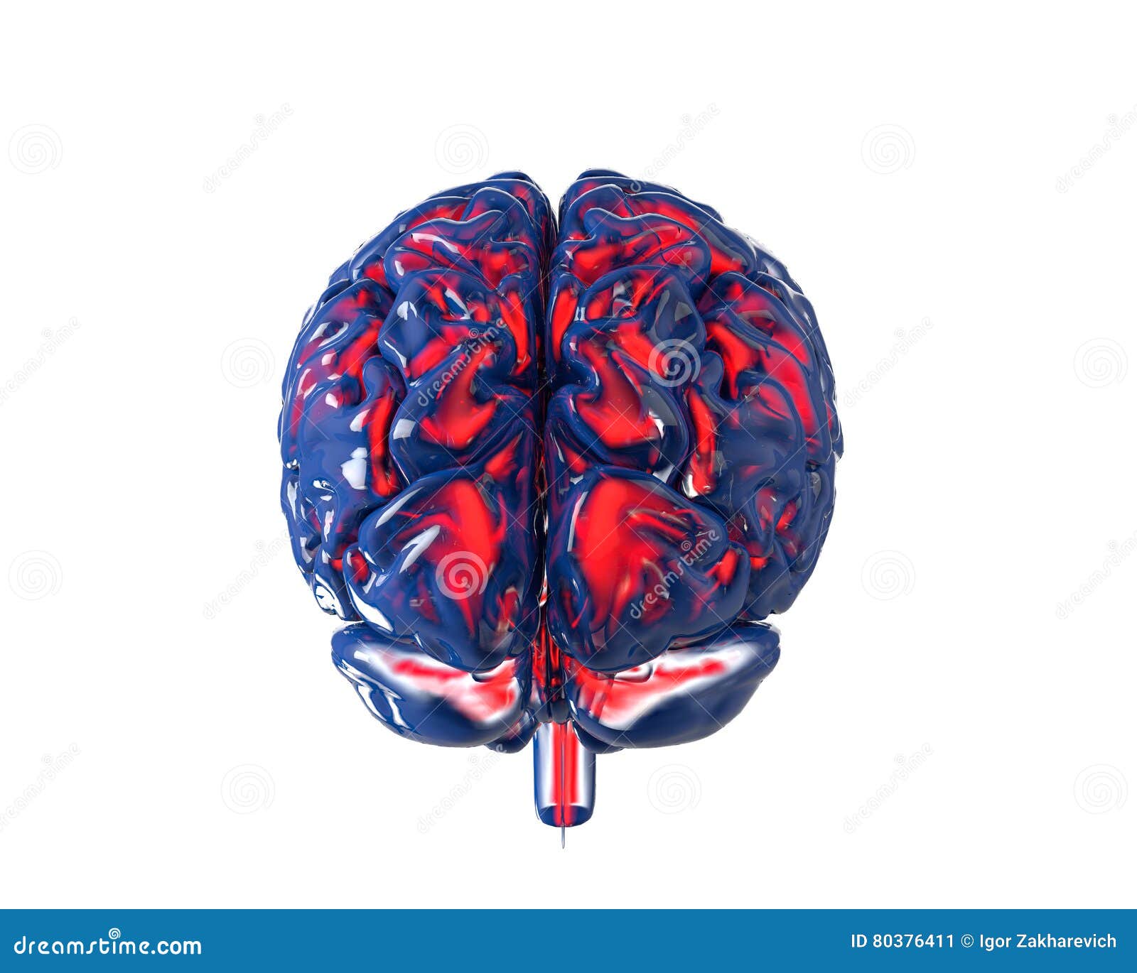 Human Brain With Transparency Chanel, Royalty-Free Illustration ...