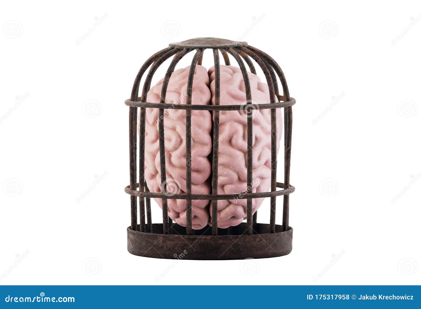 Human Brain Trapped in Old Rusty Cage Isolated on White Stock Photo ...