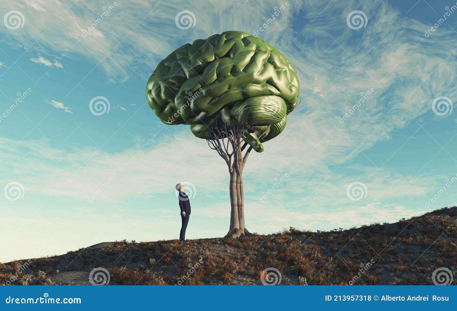 Human brain tree stock illustration. Illustration of green - 213957318
