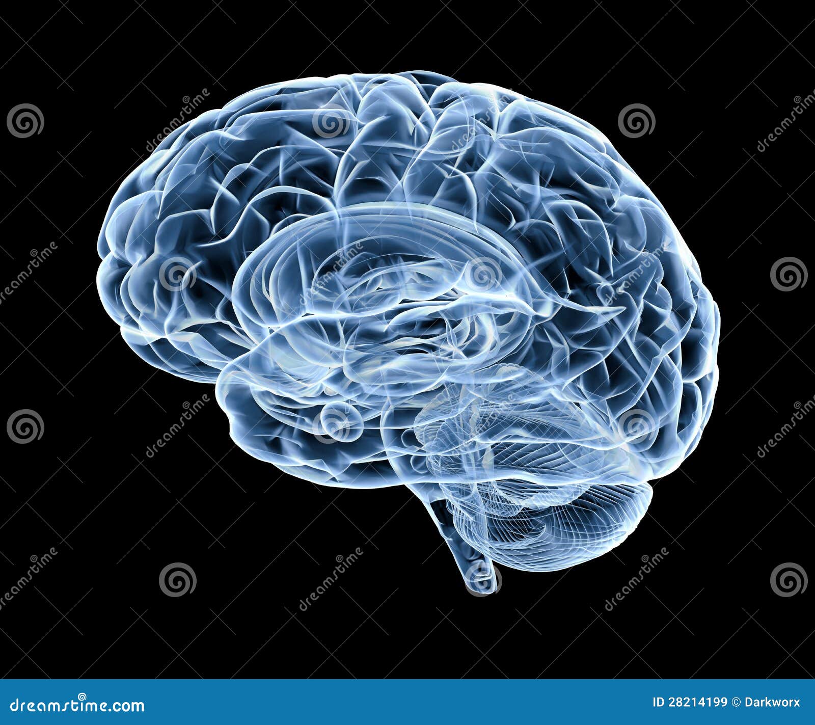 Human brain under x-ray stock illustration. Illustration of brain ...