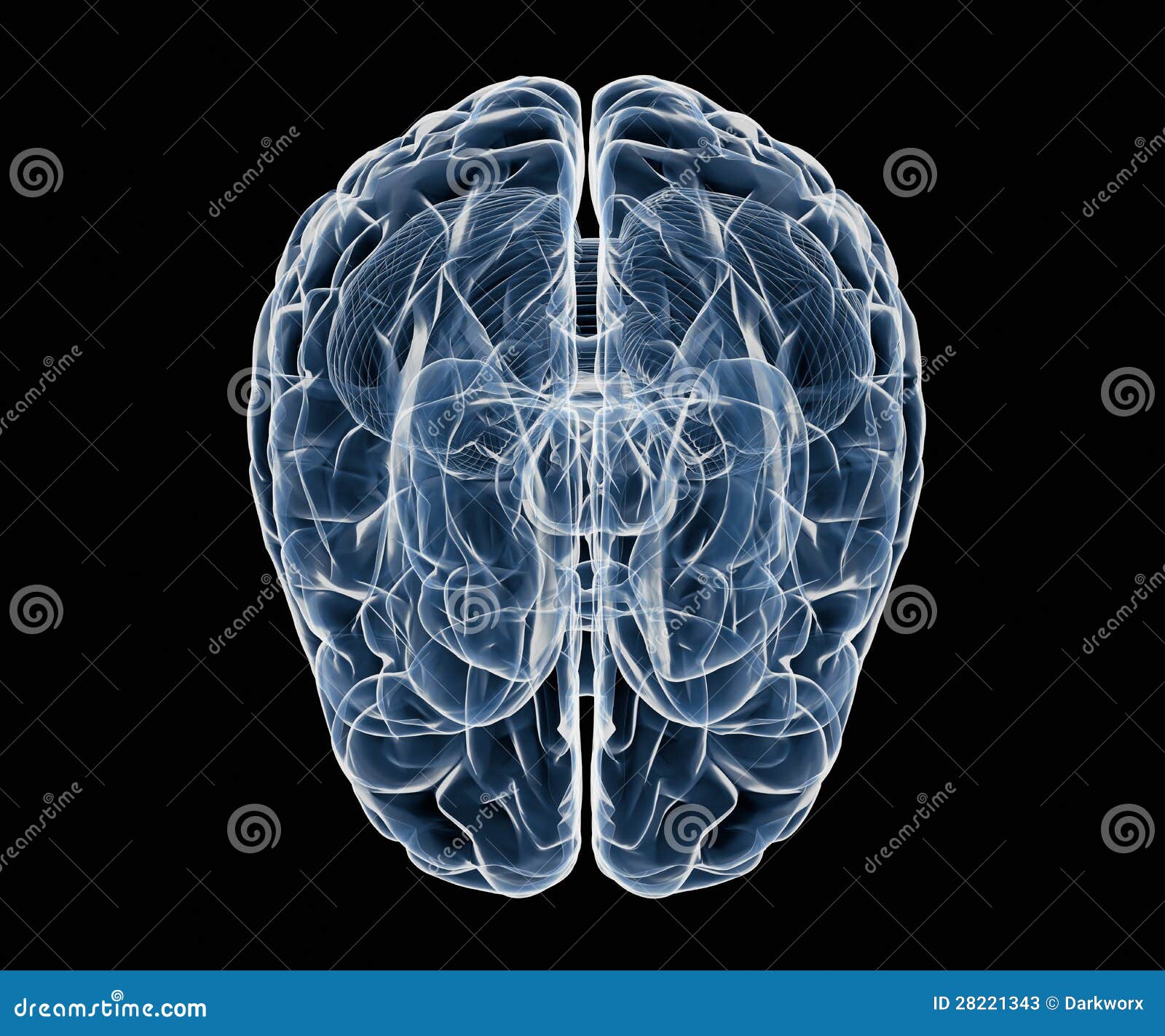 Human brain under x-ray stock illustration. Illustration of shape ...