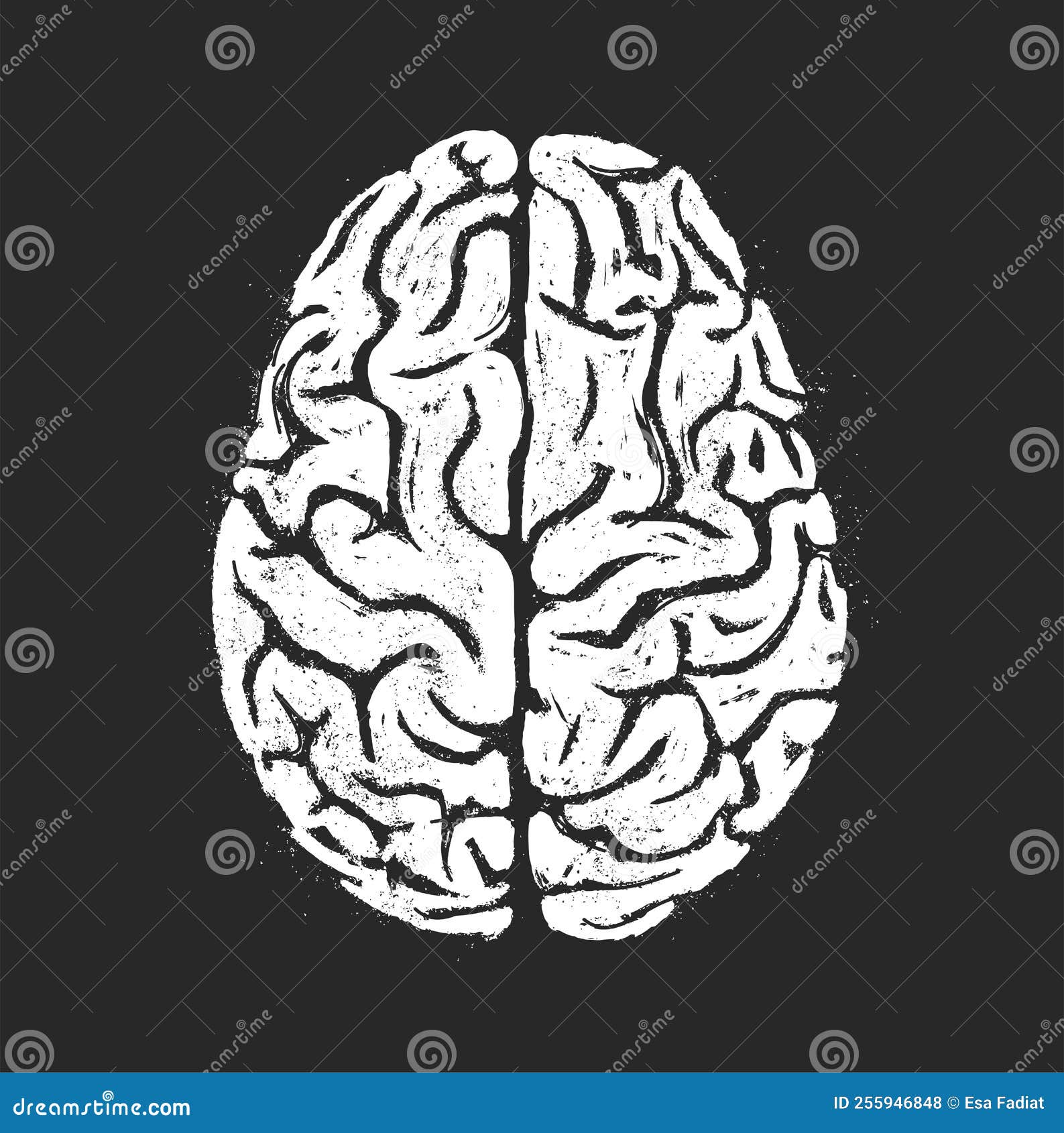 Human Brain. Vector Hand Drawn Illustration on Black Background Stock ...