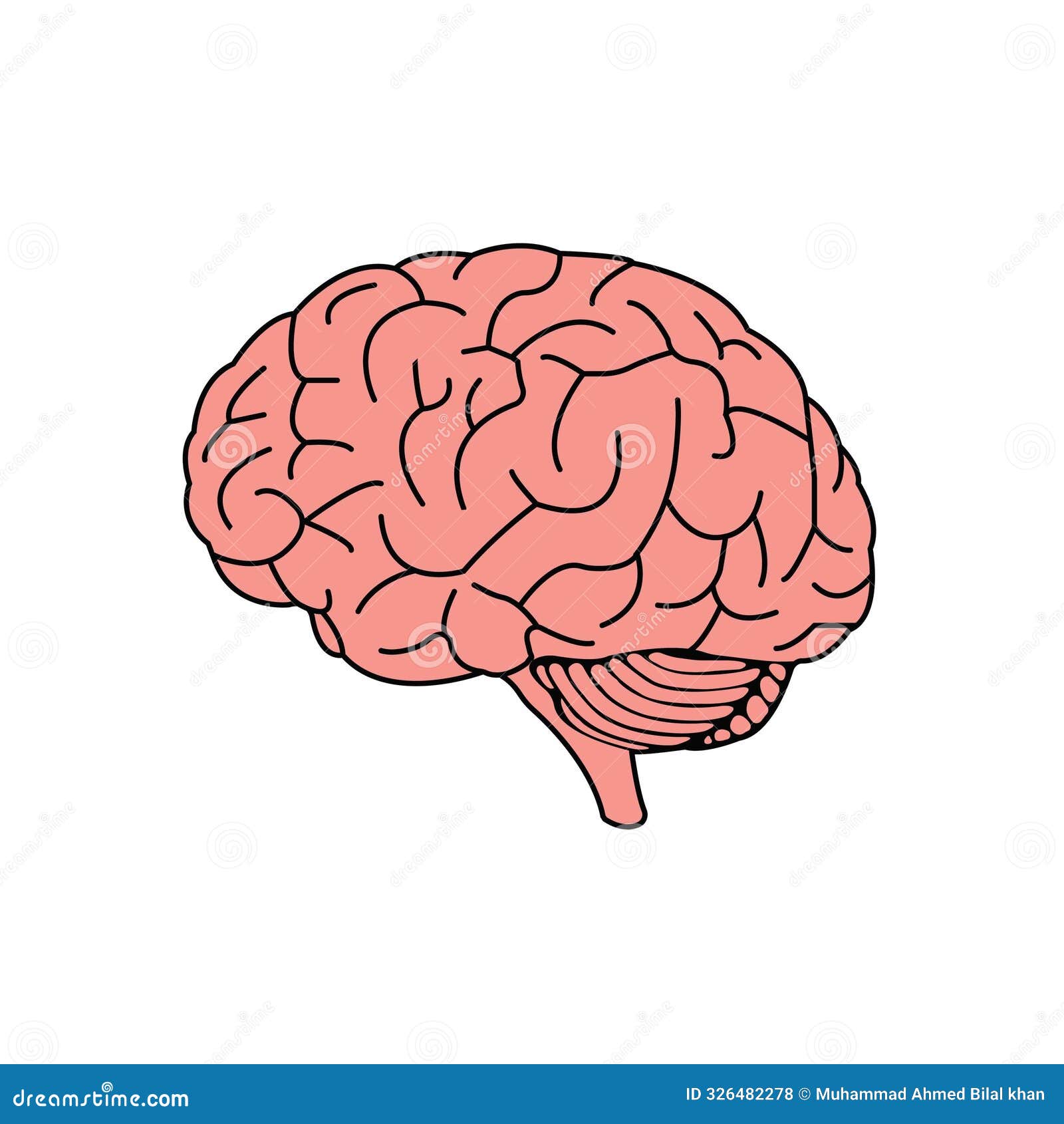 Human Brain Vector Illustration Design Stock Illustration ...