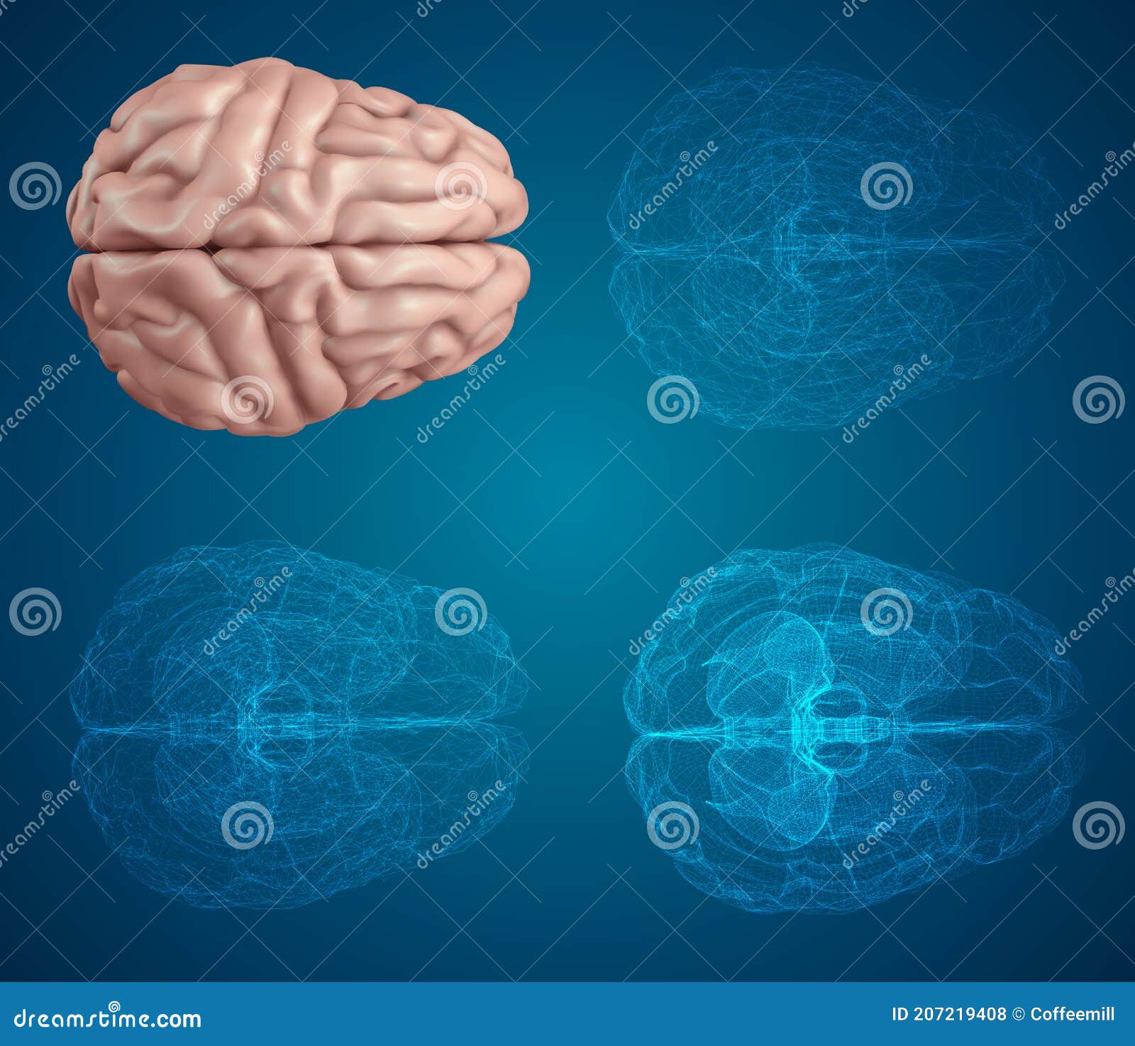 Human Brain. Vector Set in Different Styles Stock Vector - Illustration ...