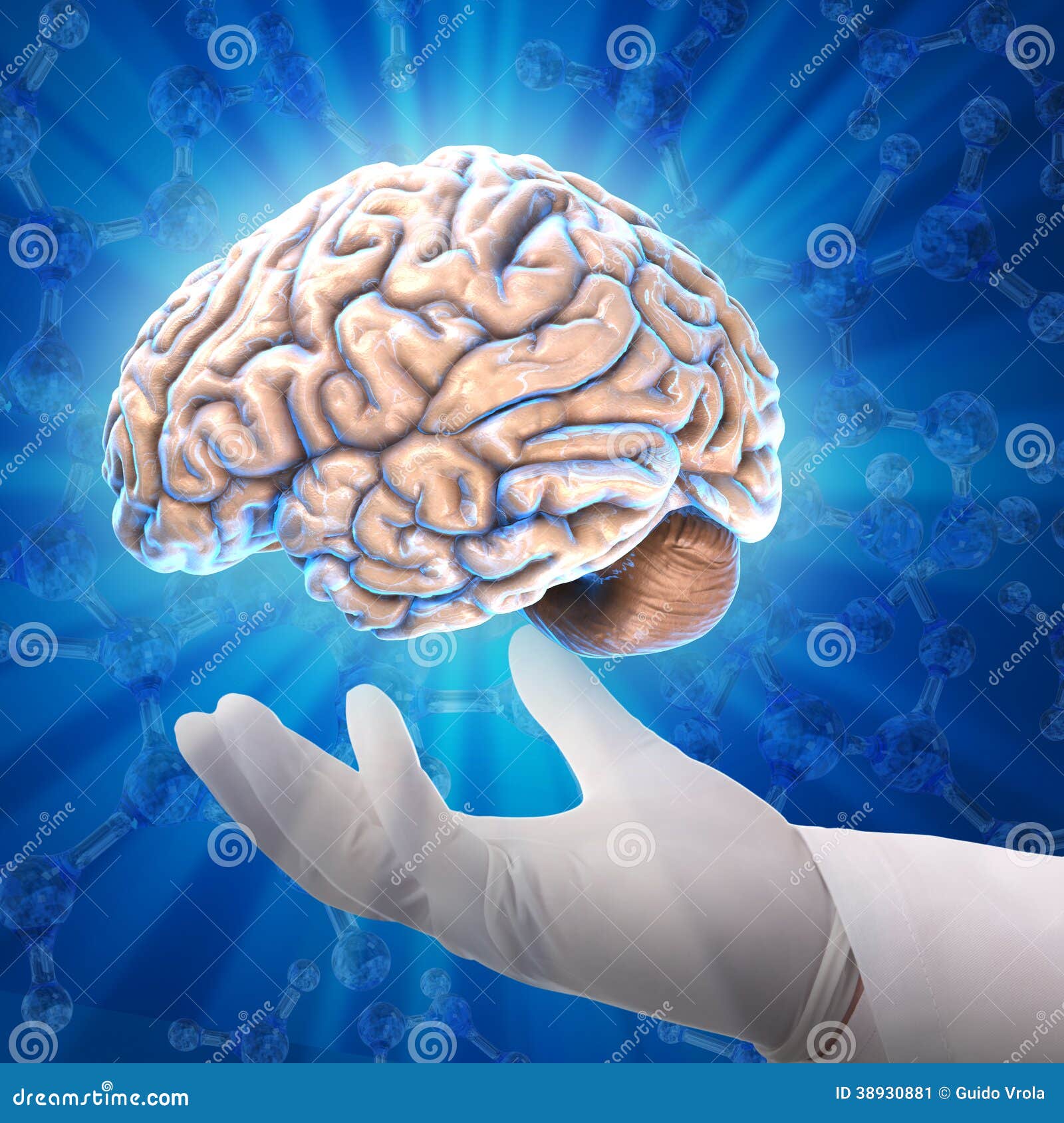 The human brain stock illustration. Illustration of professional - 38930881