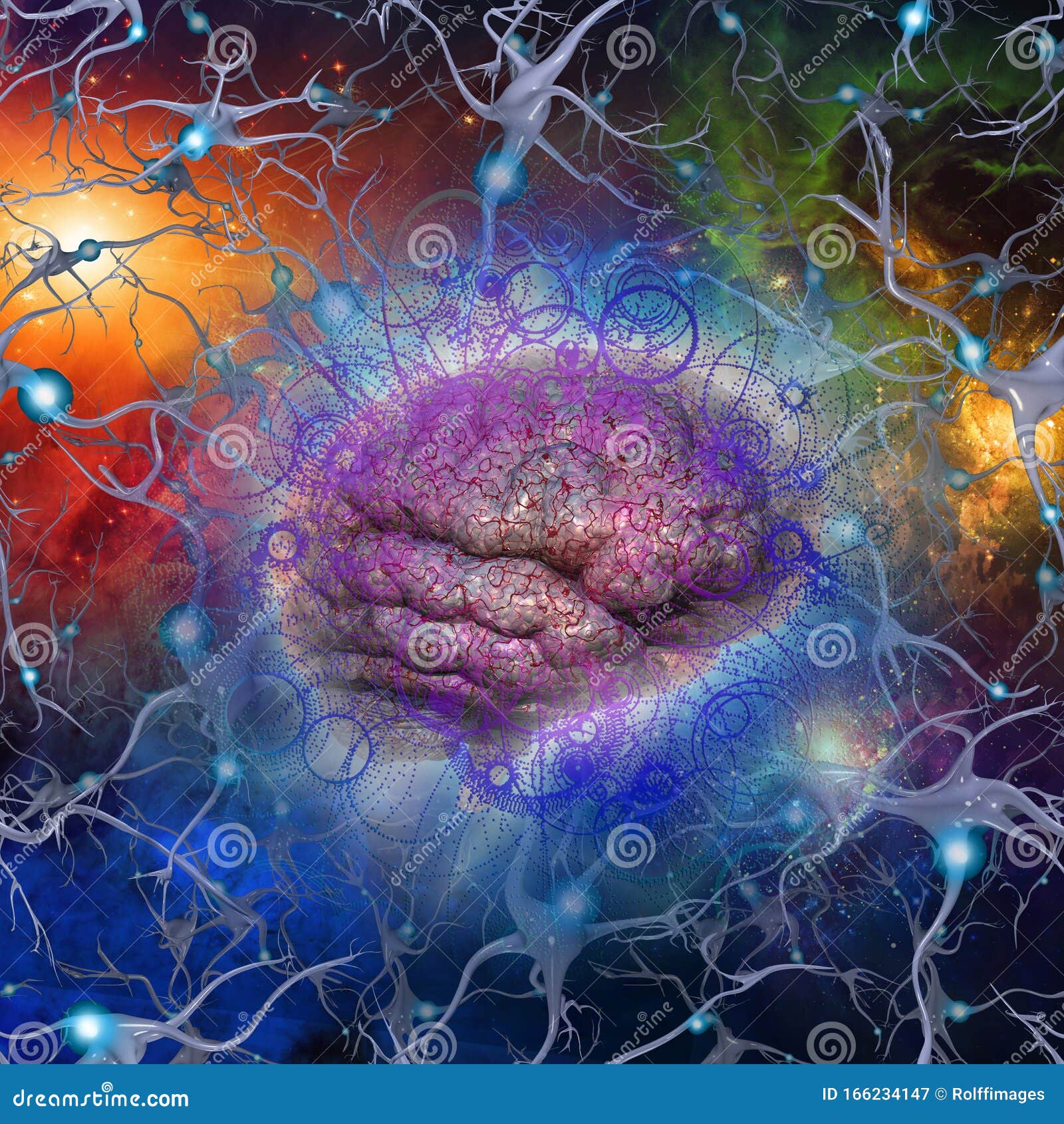 Human brain stock illustration. Illustration of fantasy - 166234147