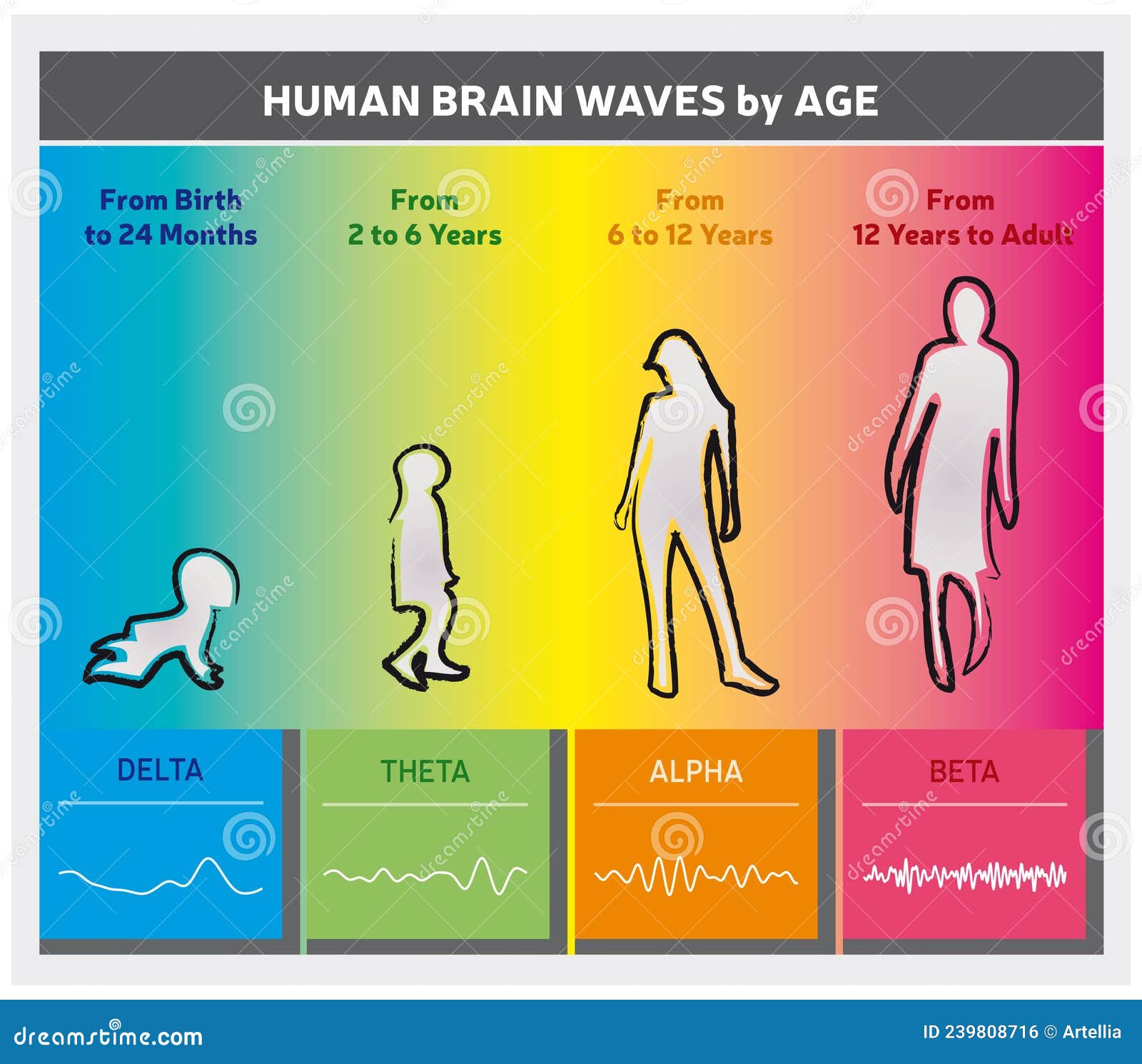 Brain Waves Frequency Chart Brain Facts Brain Waves B - vrogue.co Brain Waves Frequency Chart Brain Facts Brain Waves B - vrogue.co