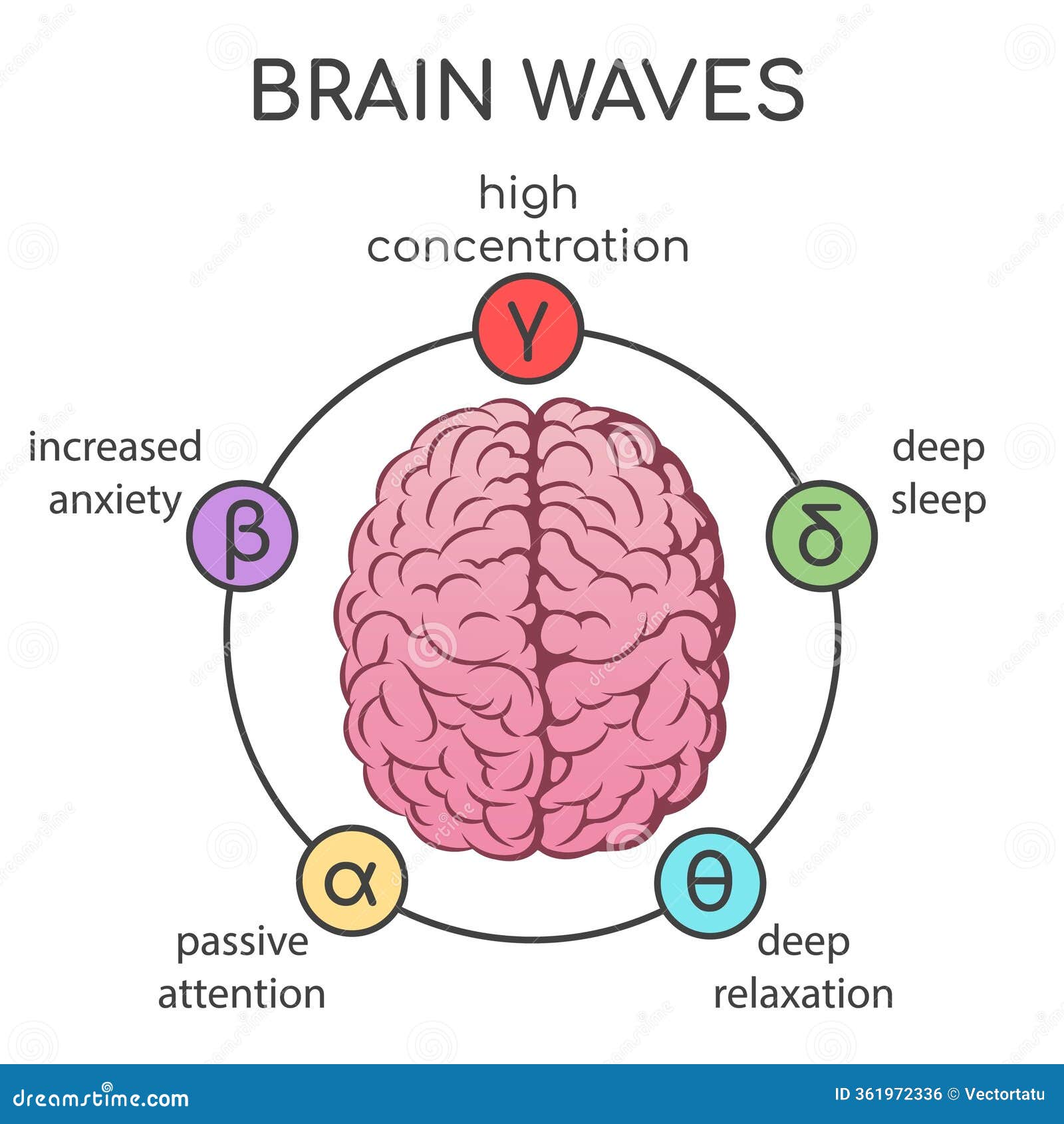 Human brain waves stock illustration. Illustration of mental - 361972336