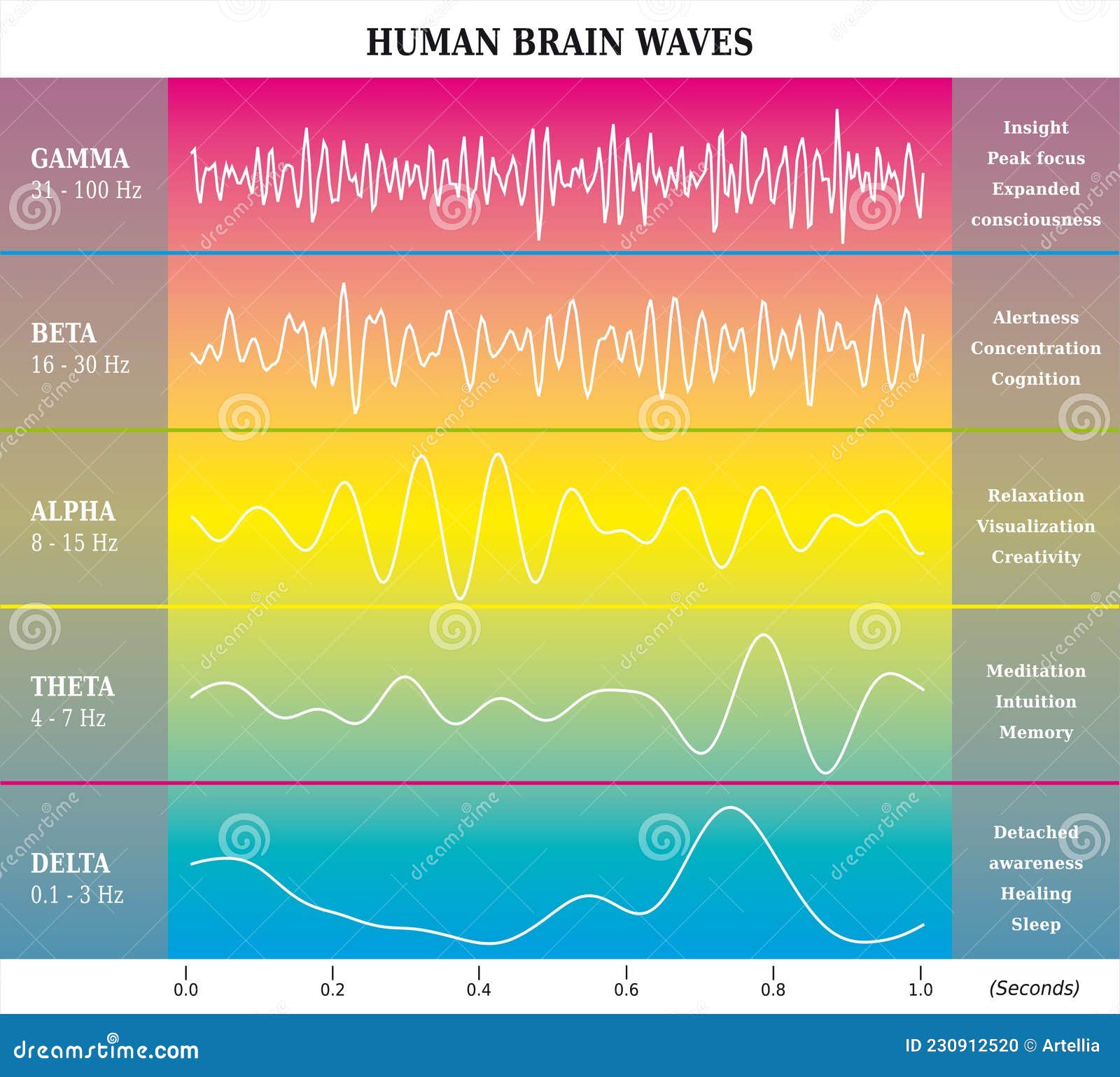 Human Brain Waves Diagram in Rainbow Colors with Explanations - Alpha ... Human Brain Waves Diagram in Rainbow Colors with Explanations - Alpha ...